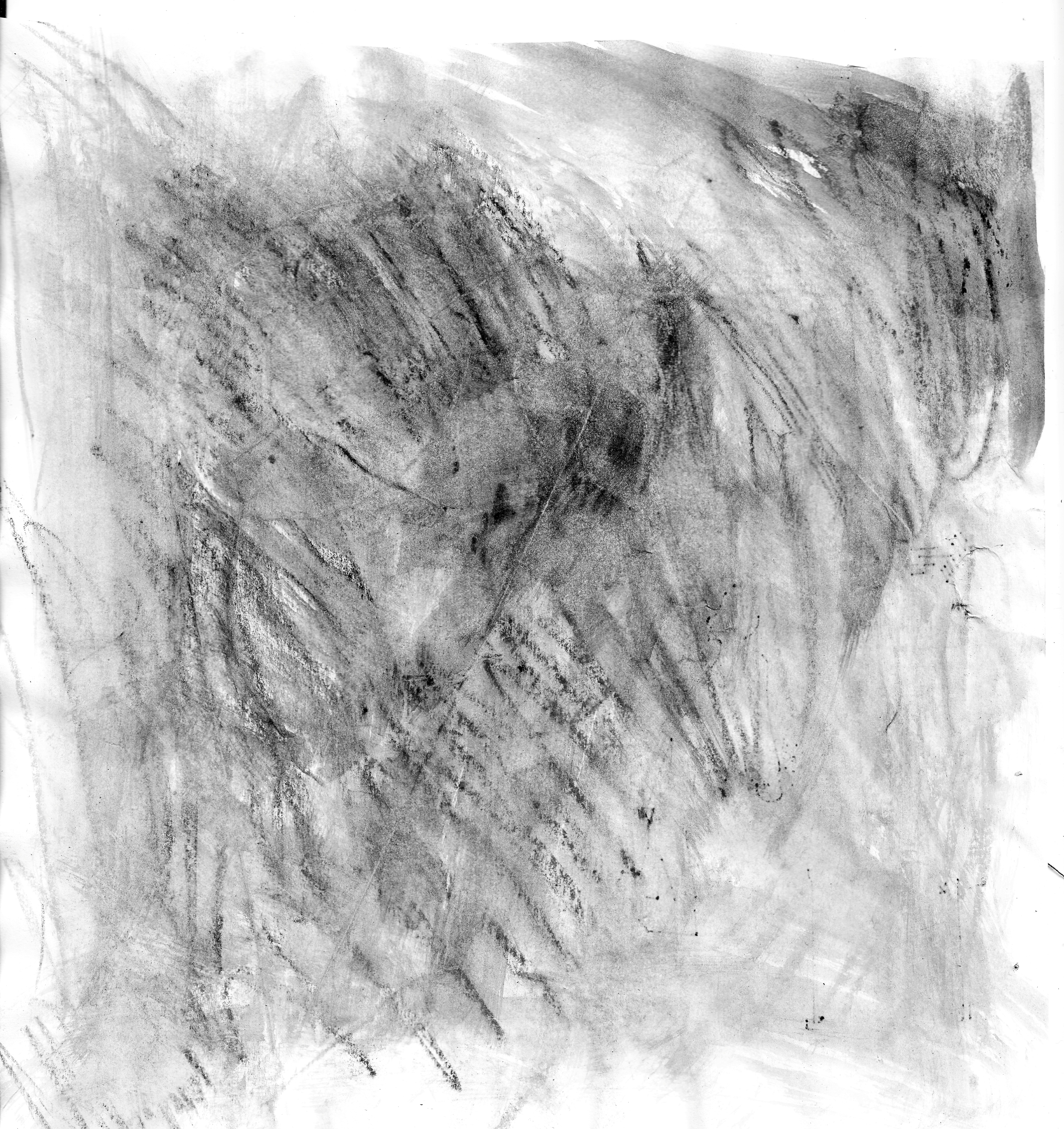 U.Lucas Dubé-Cantin - 사진