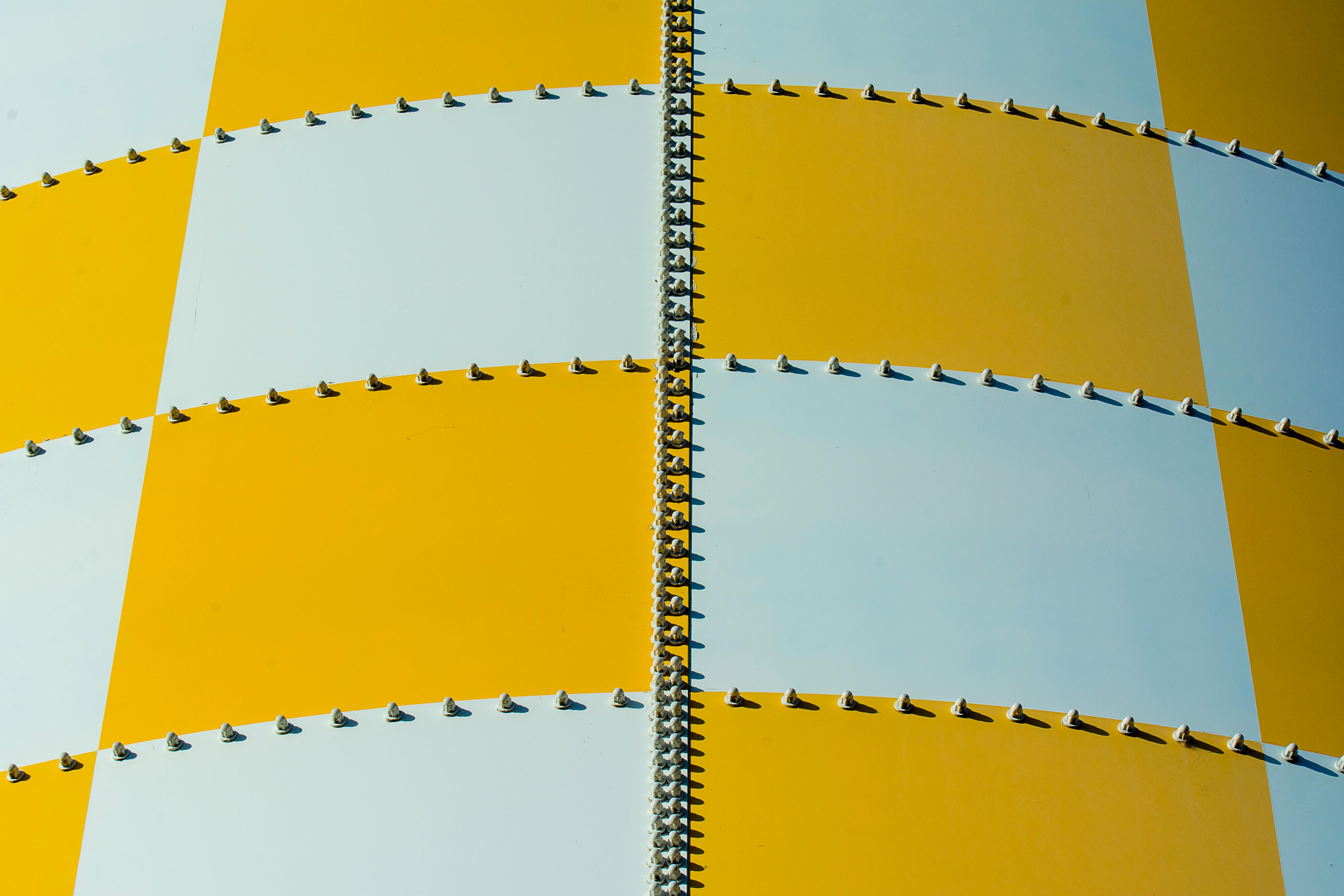 Jan van der Wolf - 사진