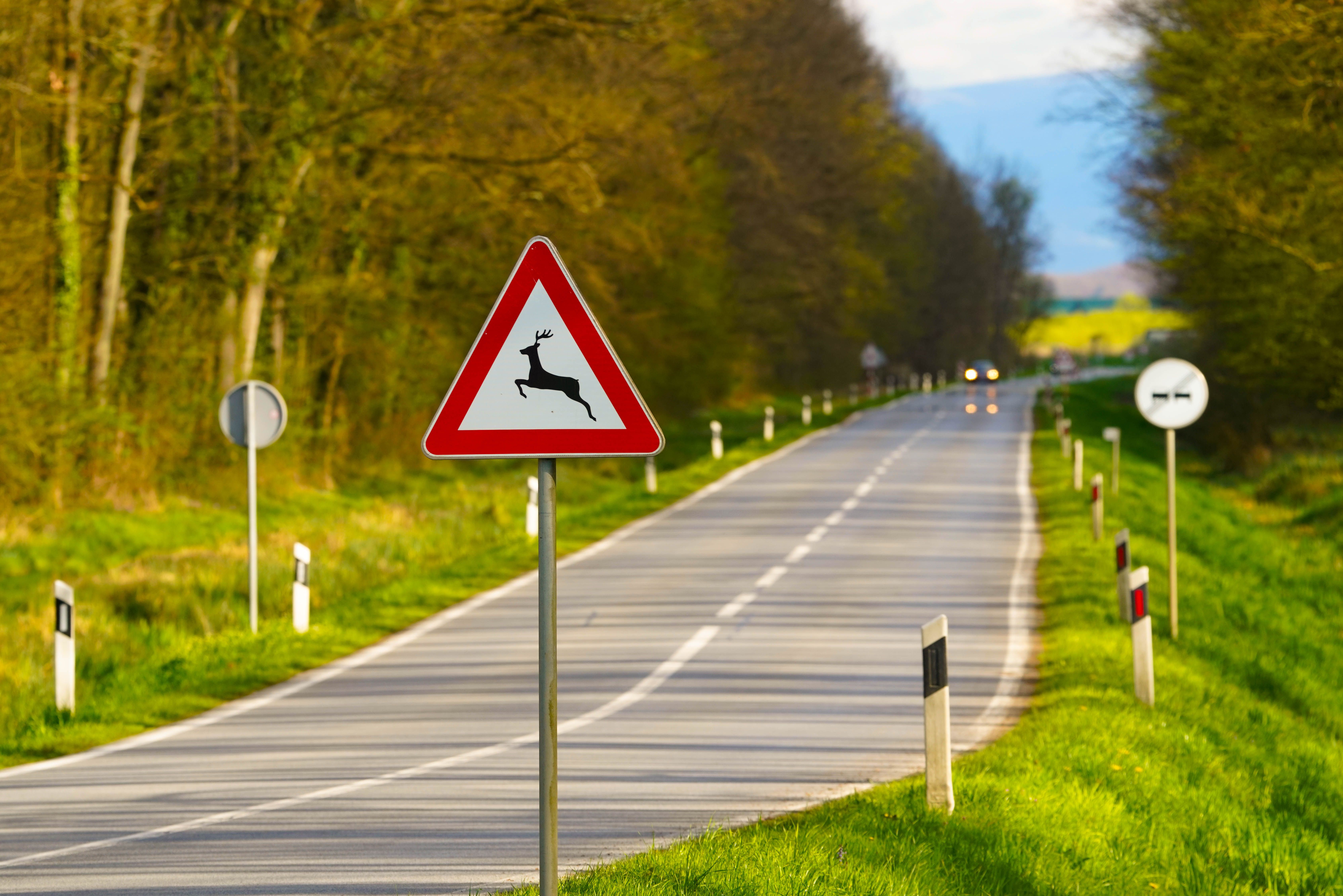 A road sign with a deer on it · Free Stock Photo