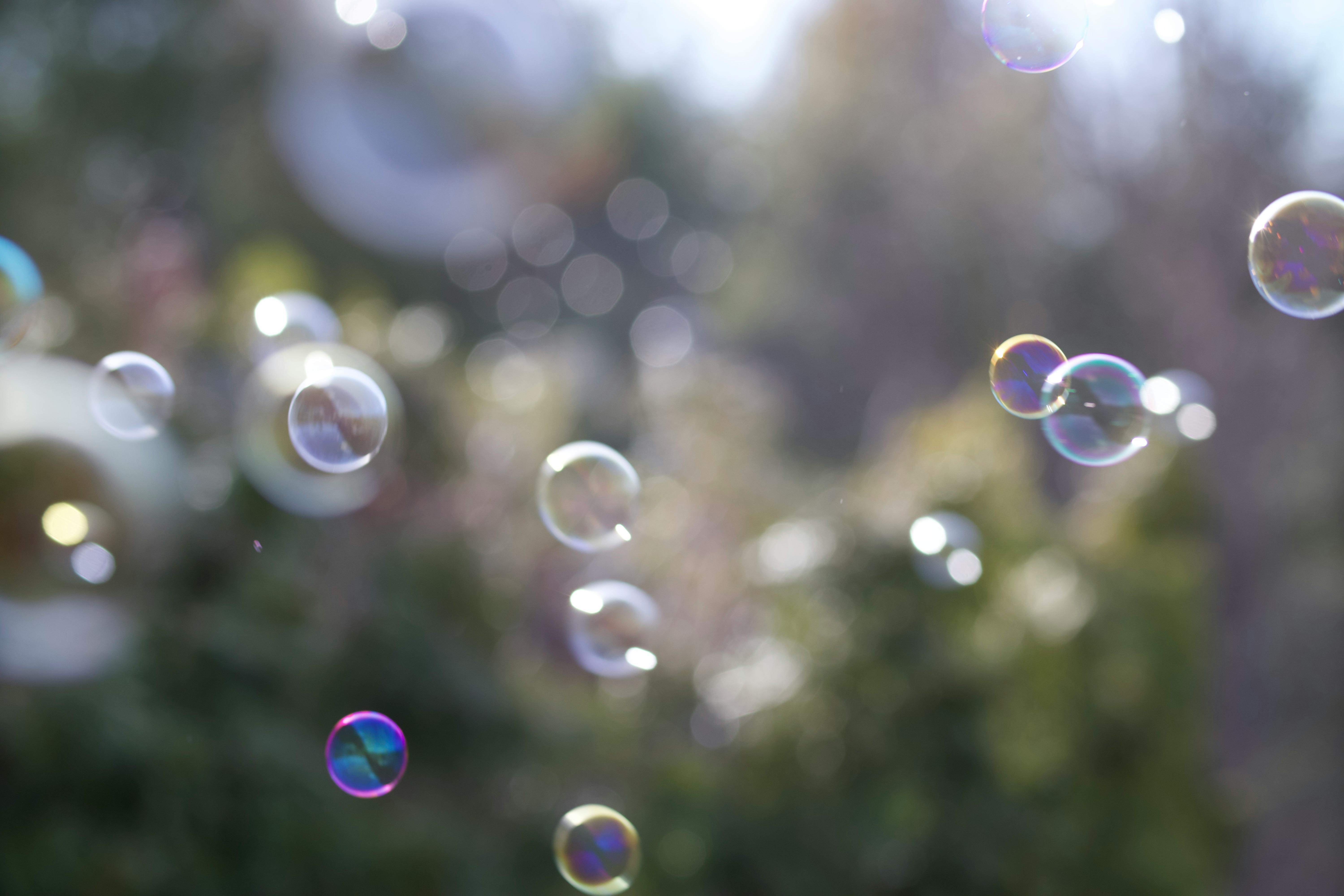 Catherine Dempsey - 攝影