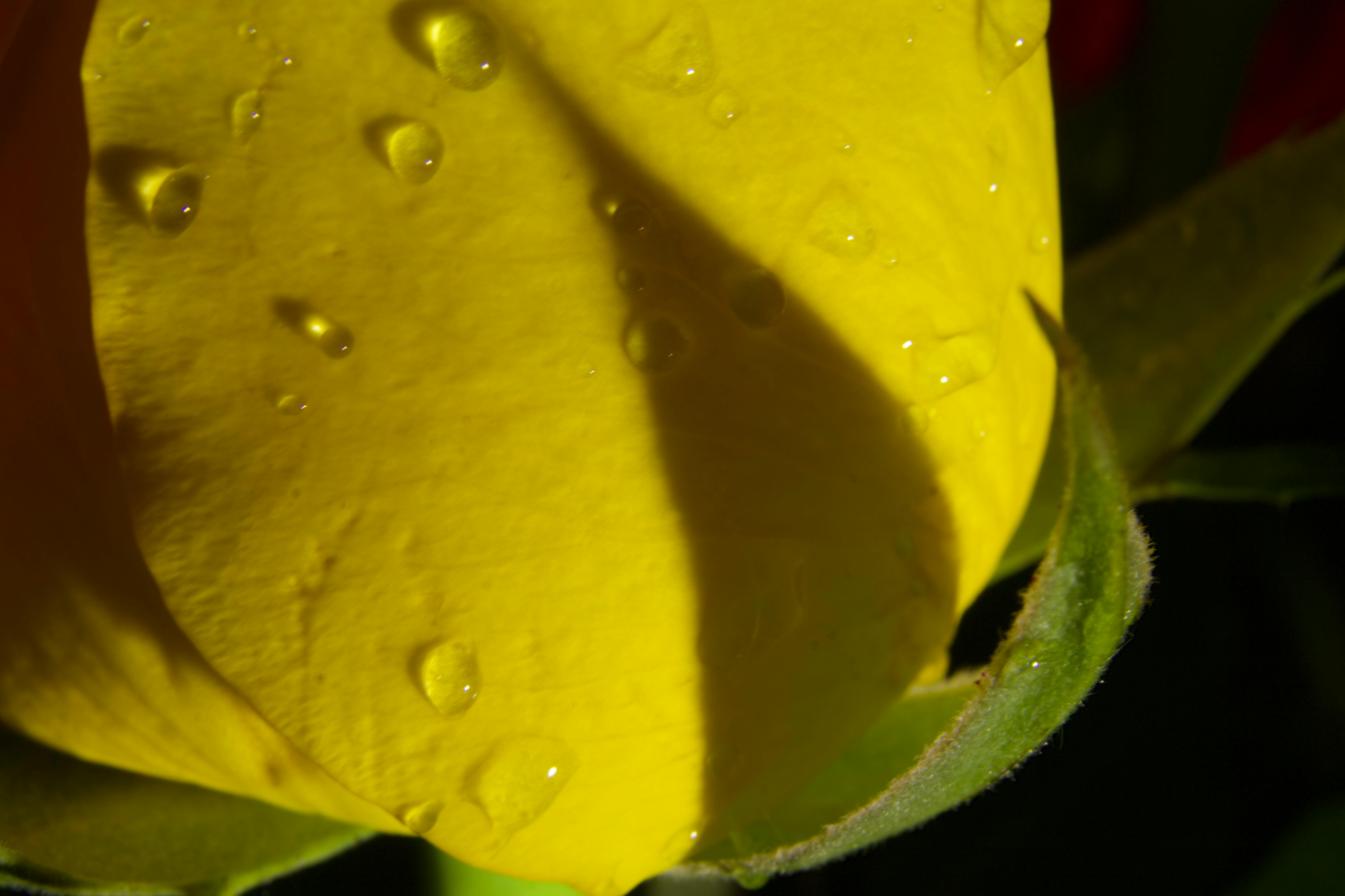 Catherine Dempsey - 攝影