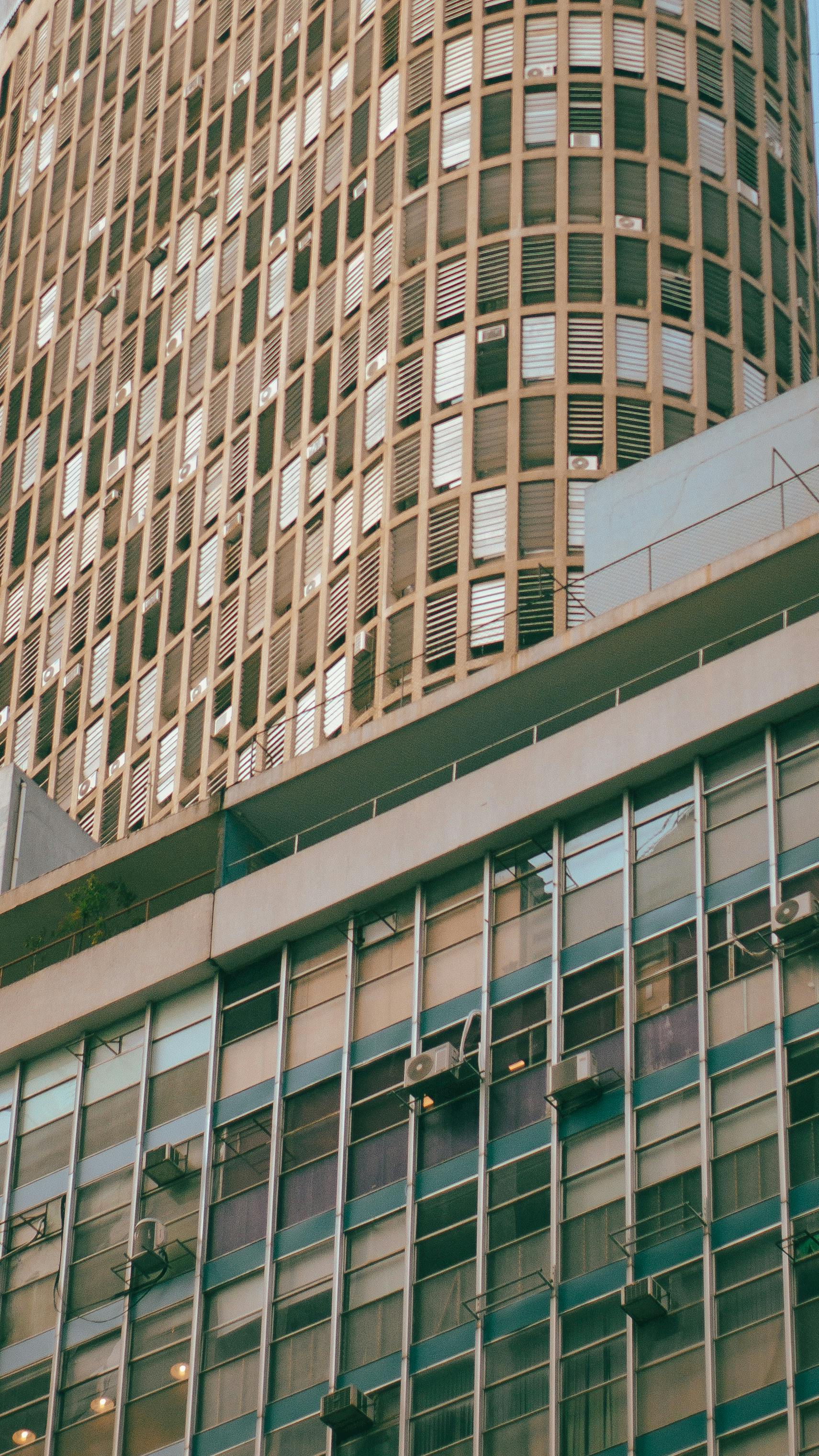 Hoja De Aire Photos, Download The BEST Free Hoja De Aire Stock Photos ...