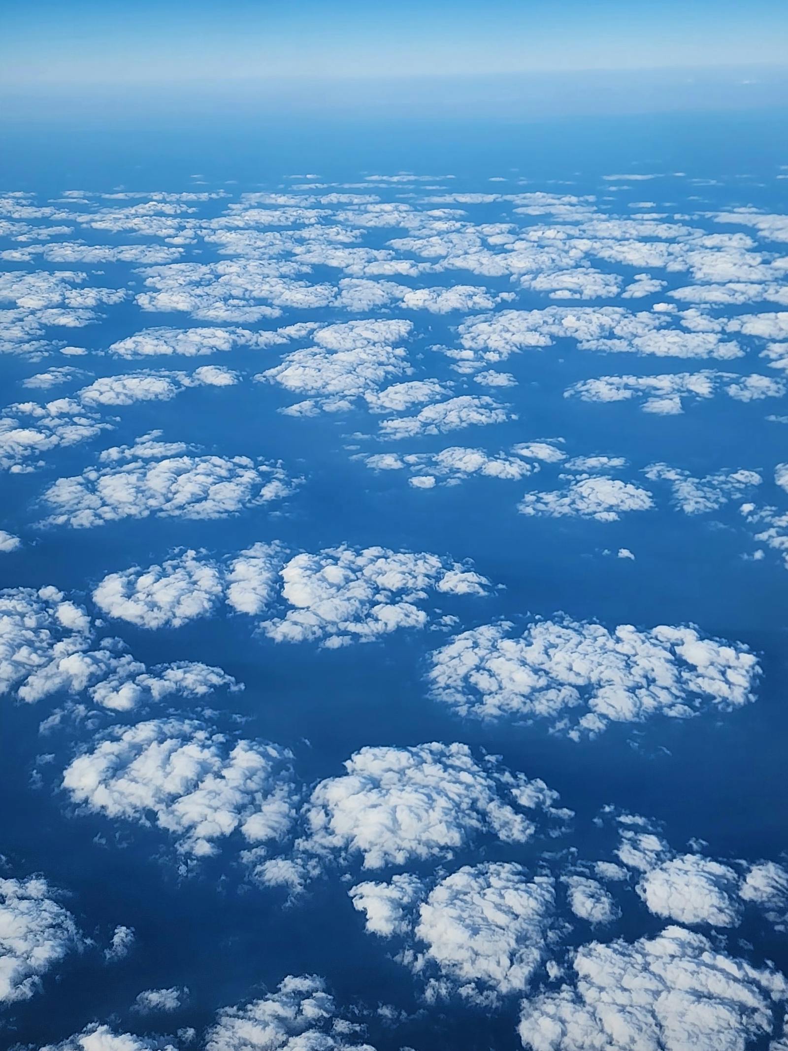 Goodbye Airplane Photos, Download The BEST Free Goodbye Airplane Stock ...