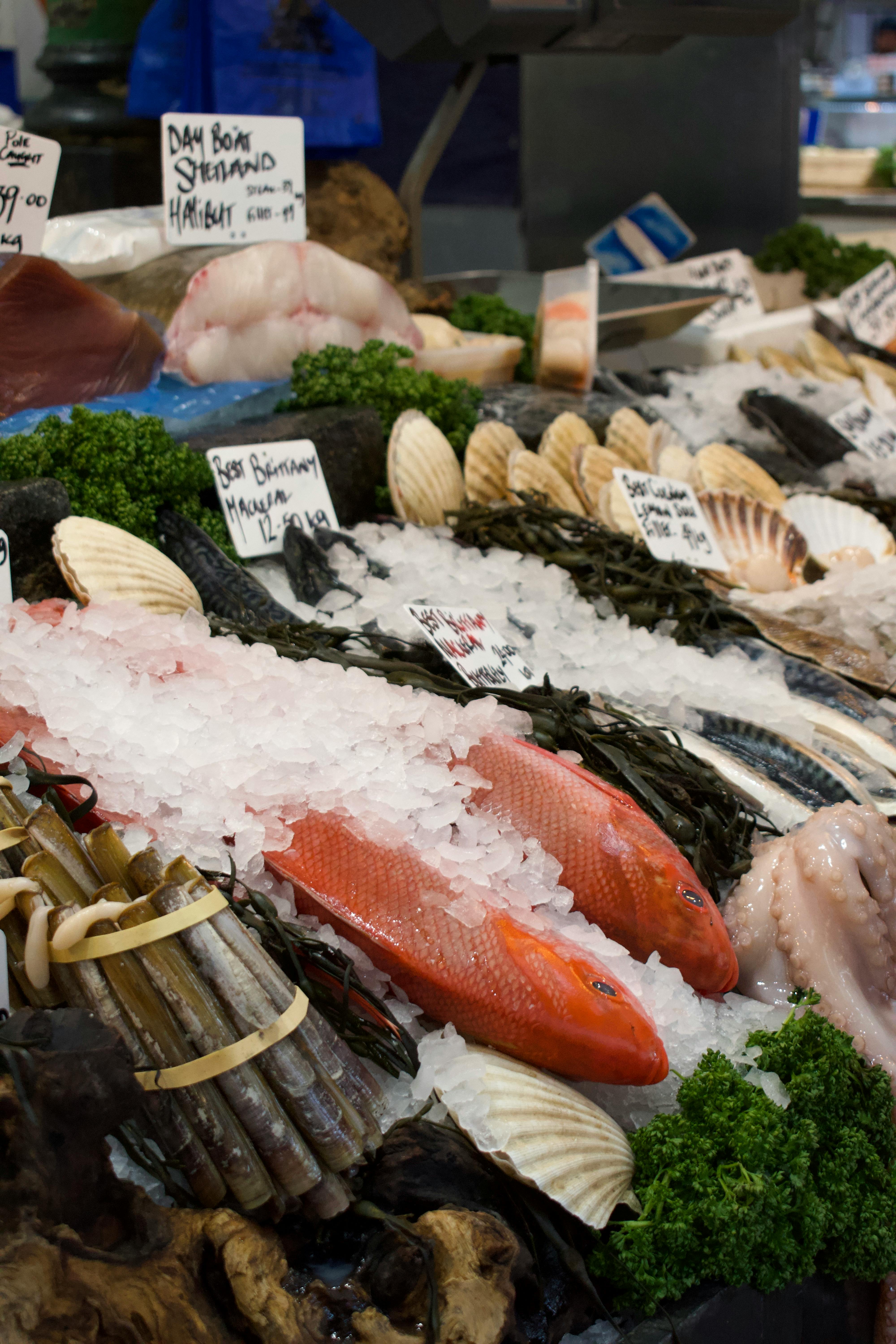 A display of fish and seafood at a market · Free Stock Photo
