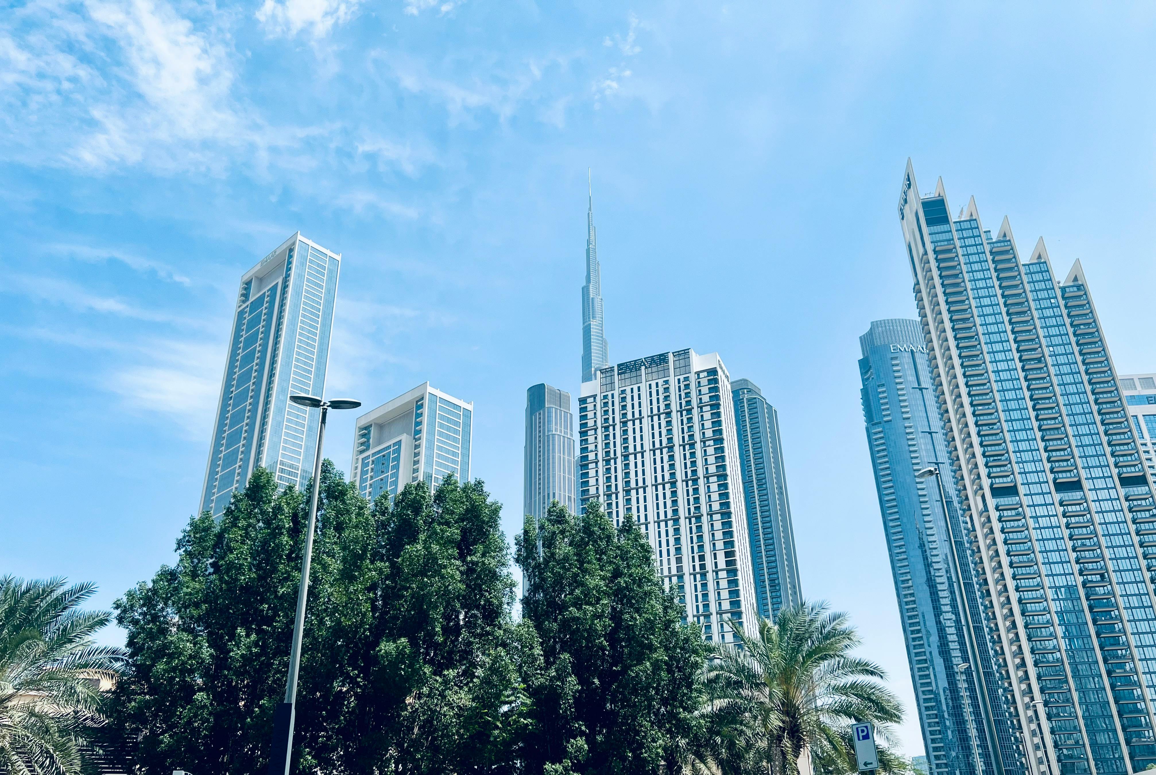 Tamer Selim - Photography