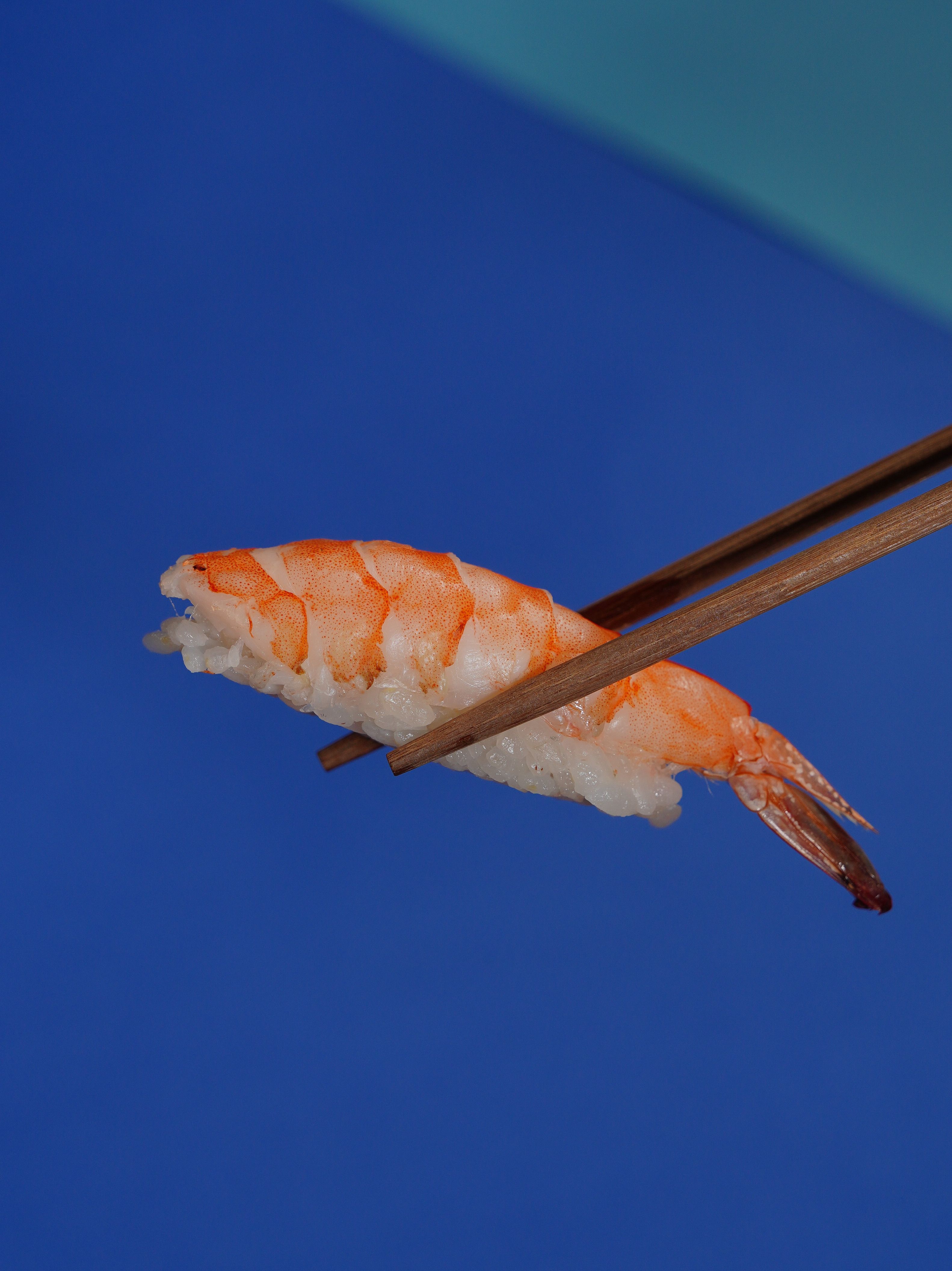 Sea Food Prawn Photos, Download The BEST Free Sea Food Prawn Stock ...