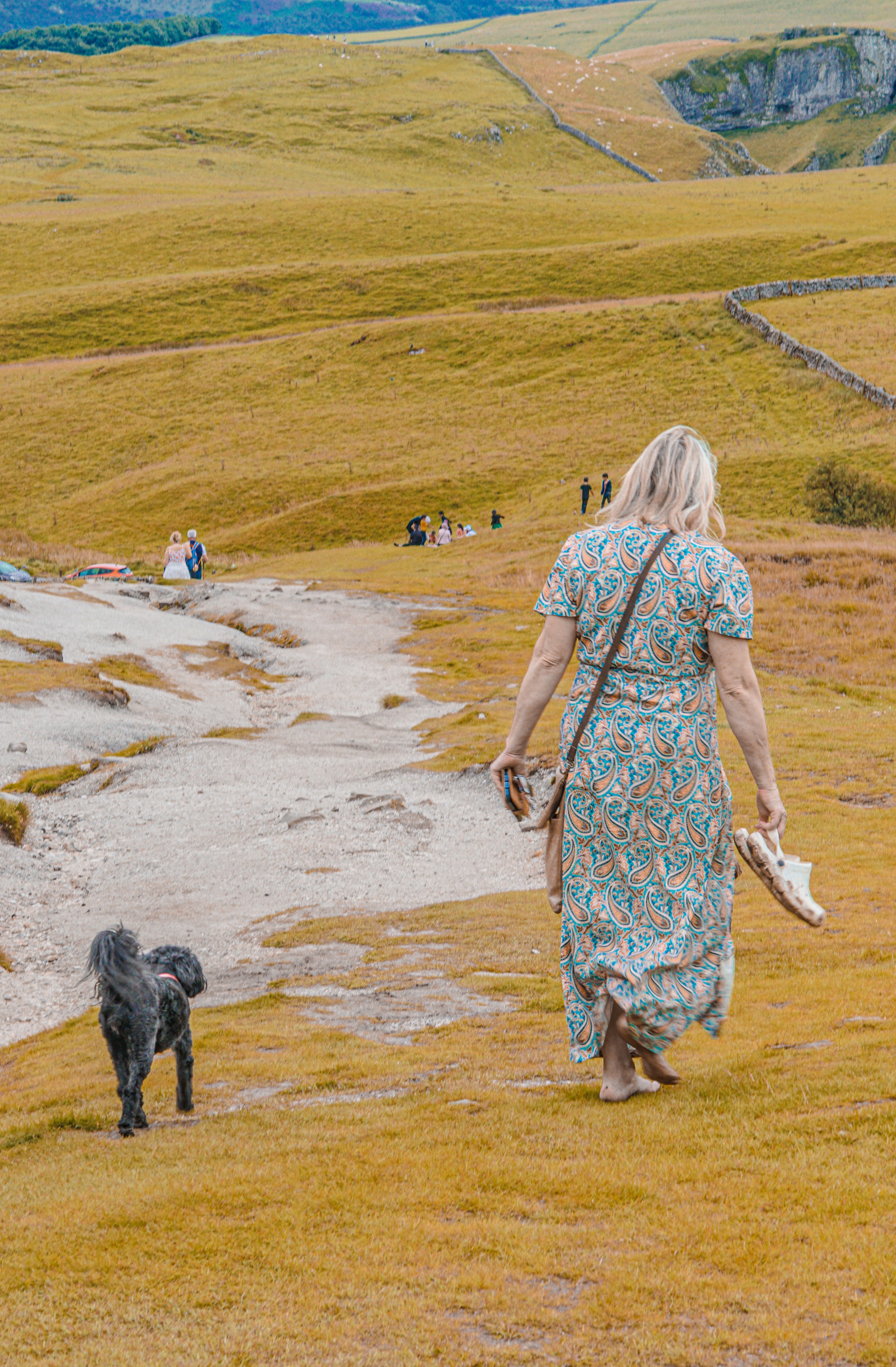Woman in Sundress Walking Barefoot with Dog on Grassland · Free Stock Photo