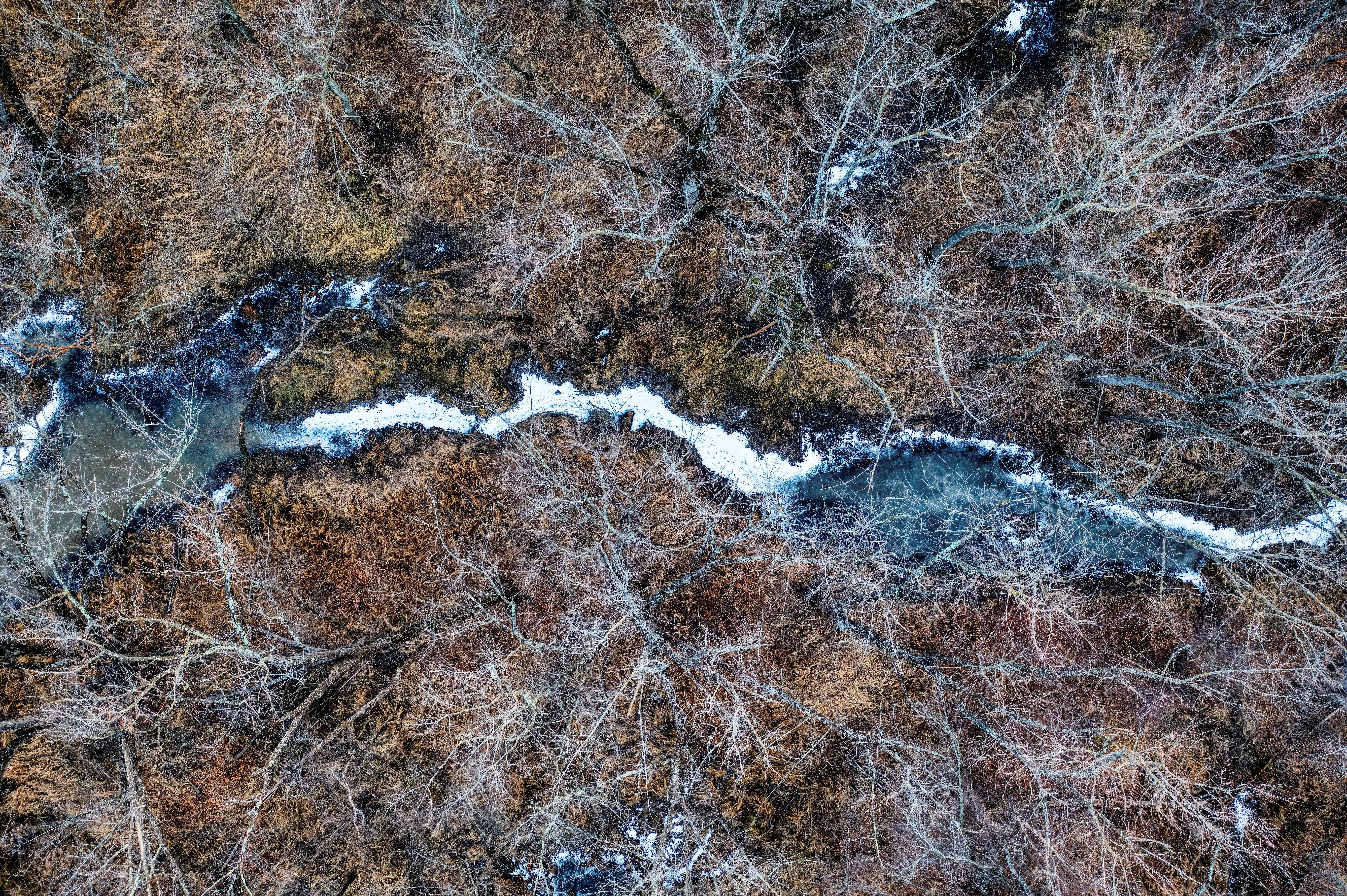 Amazon Rainforest in Birds Eye View · Free Stock Photo