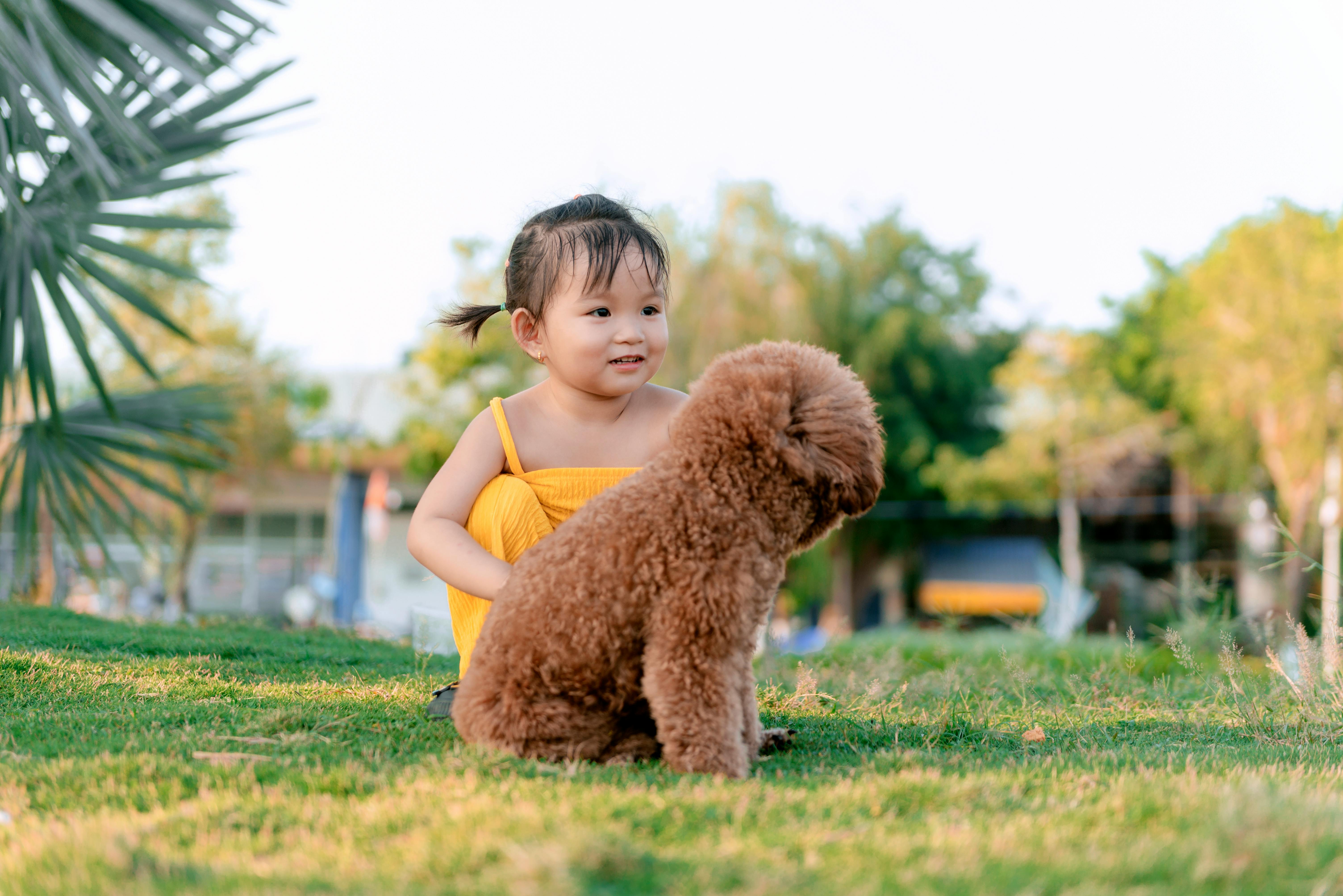 Girl Sitting with Poodle · Free Stock Photo