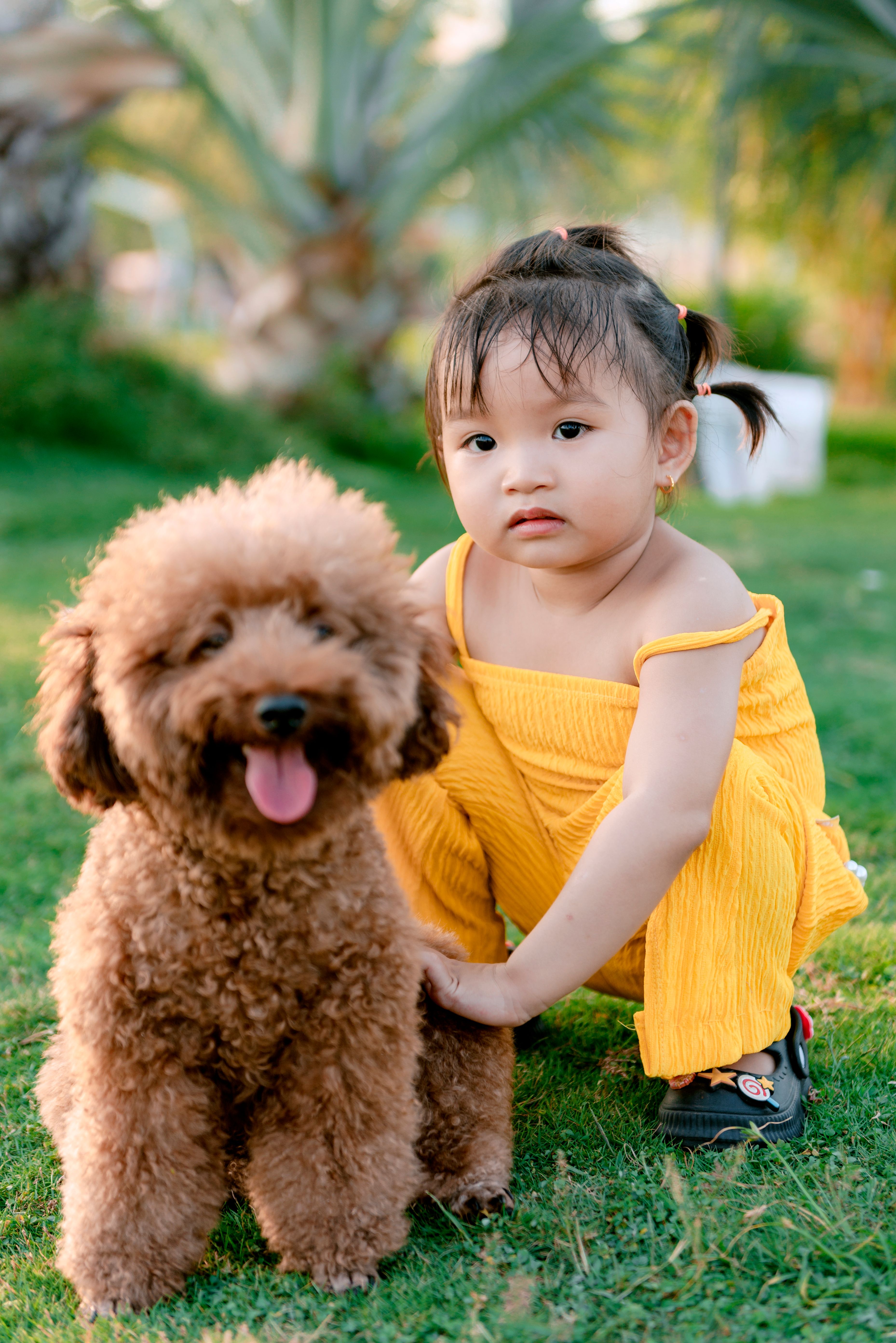 Girl Sitting with Poodle · Free Stock Photo