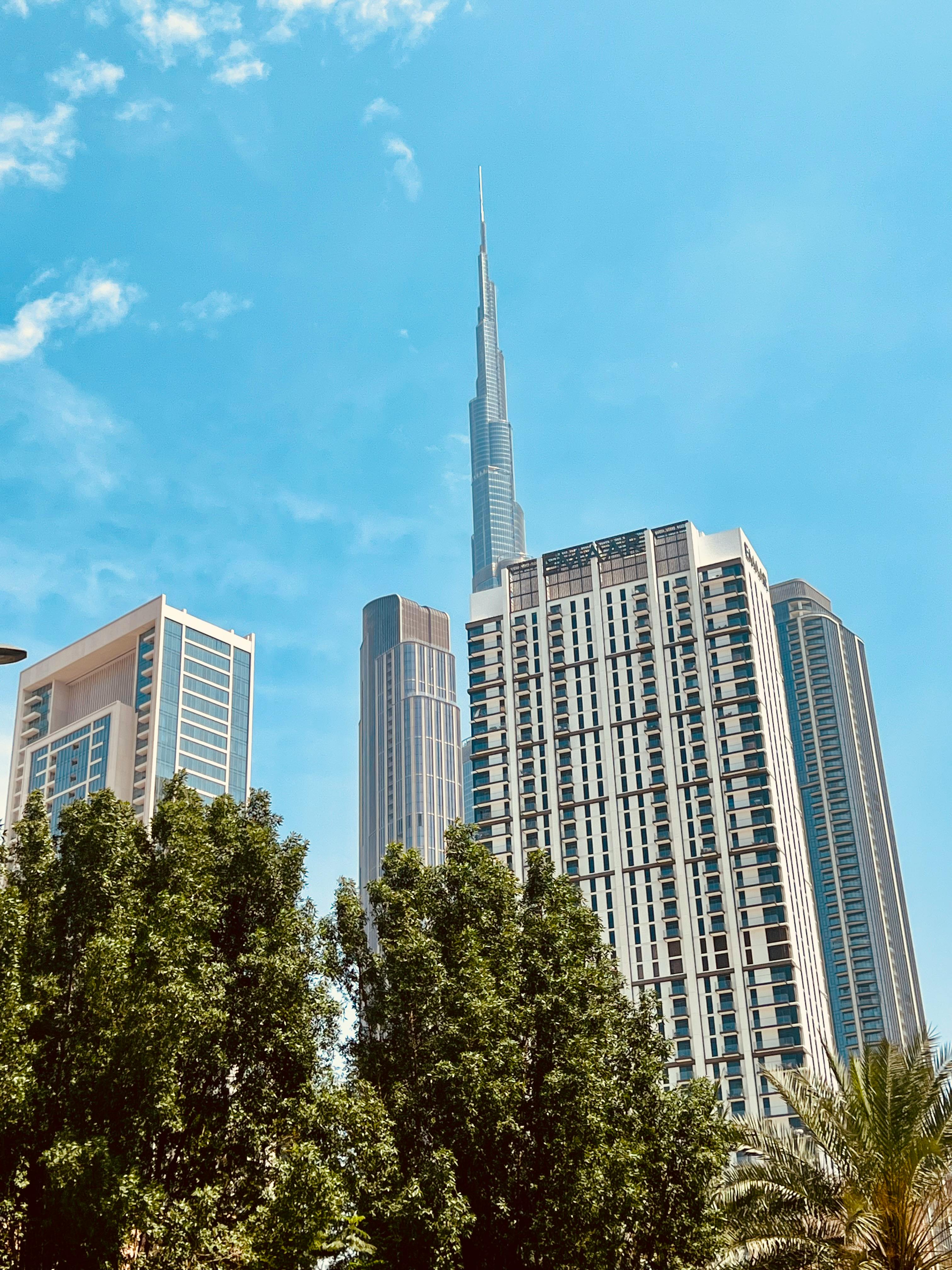 Tamer Selim - Photography