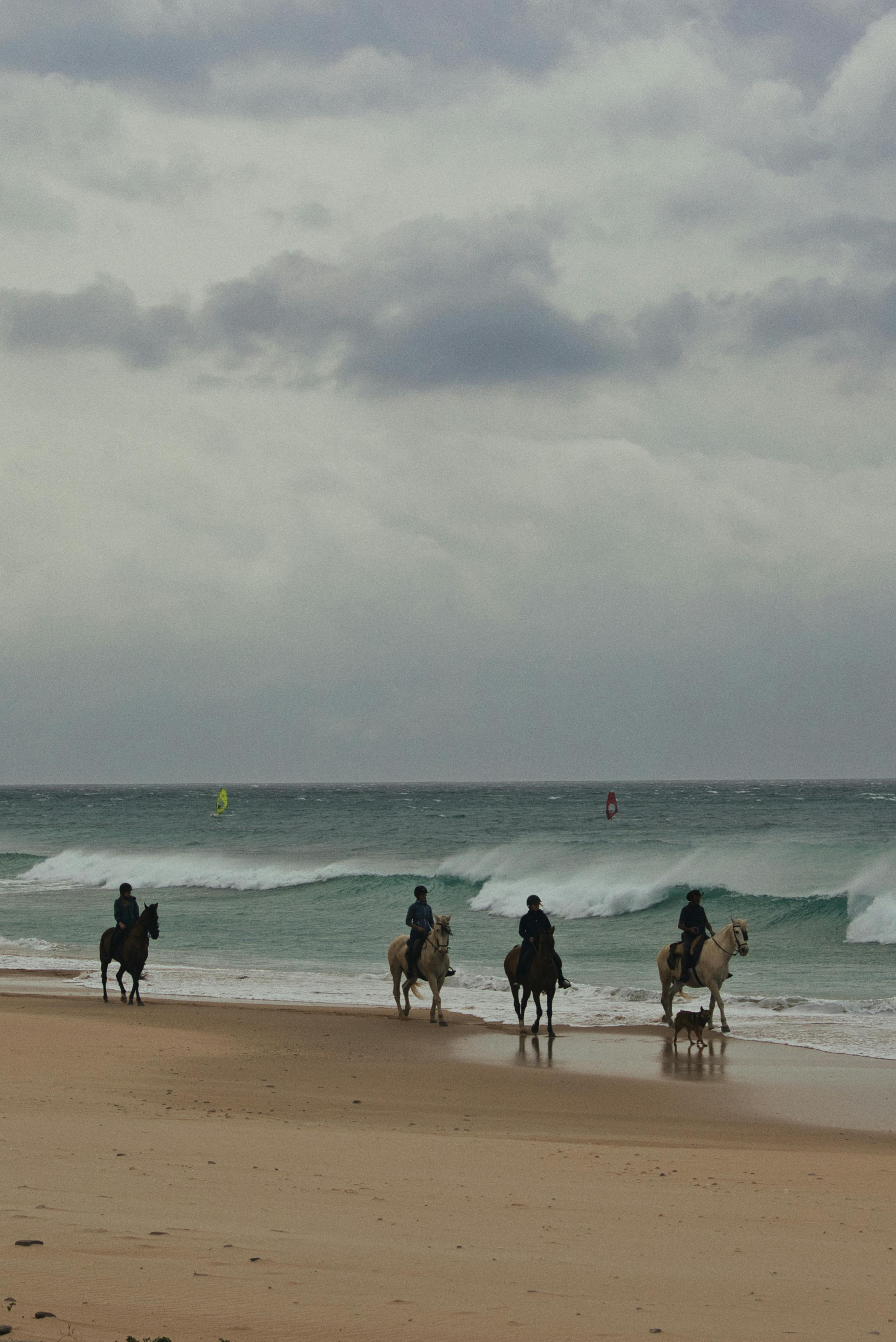 People Horseback Riding along Beach · Free Stock Photo