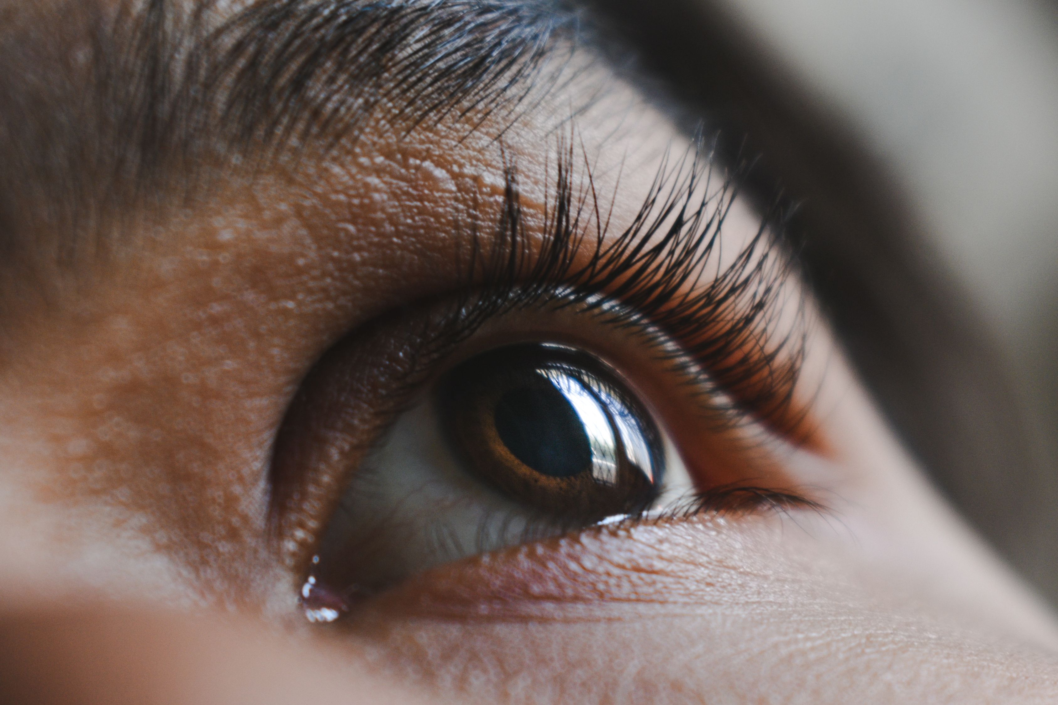 Person s Left Eye Free Stock Photo Person s Left Eye Free Stock Photo
