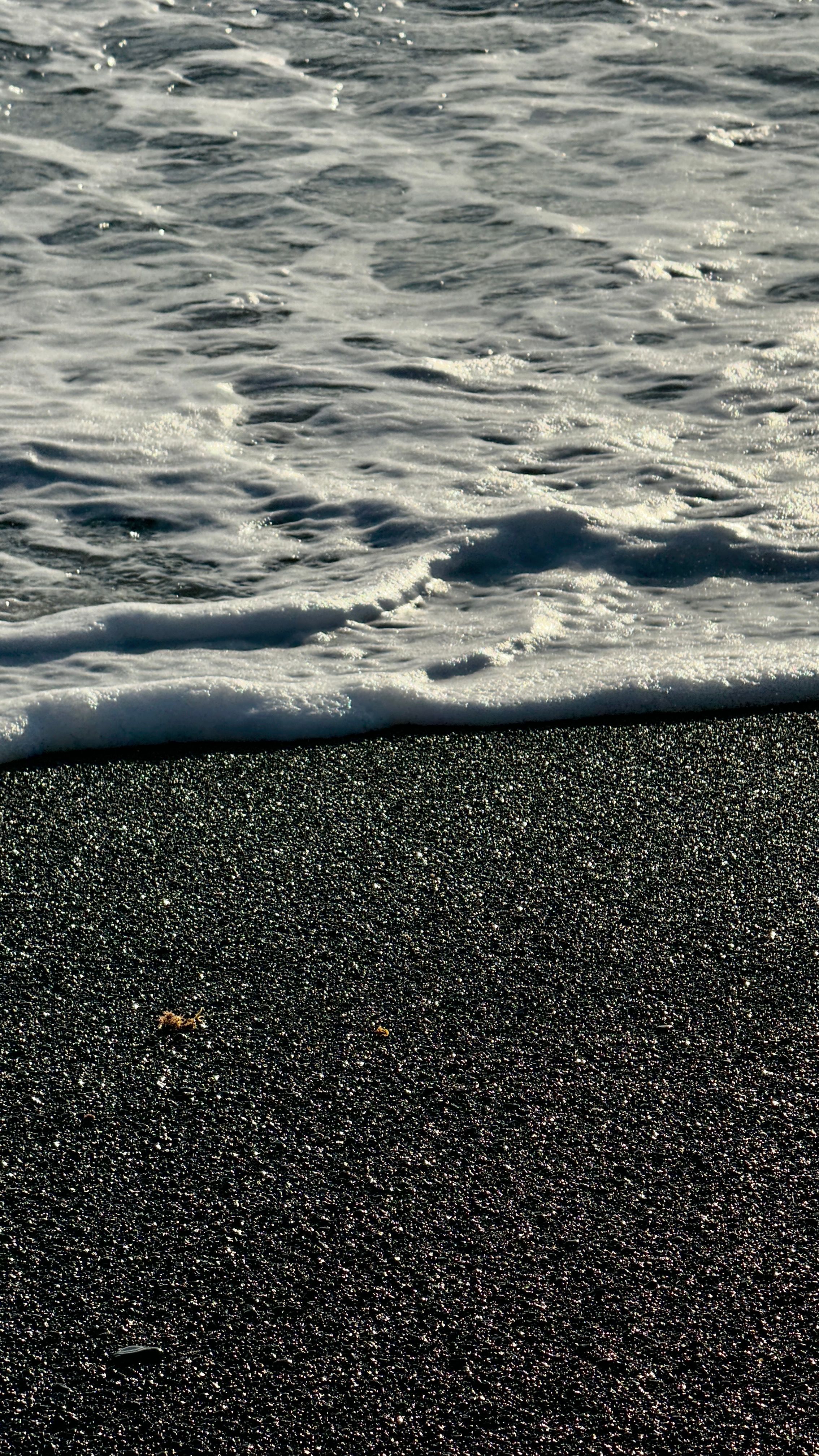 Shallow Water on Sea Shore · Free Stock Photo