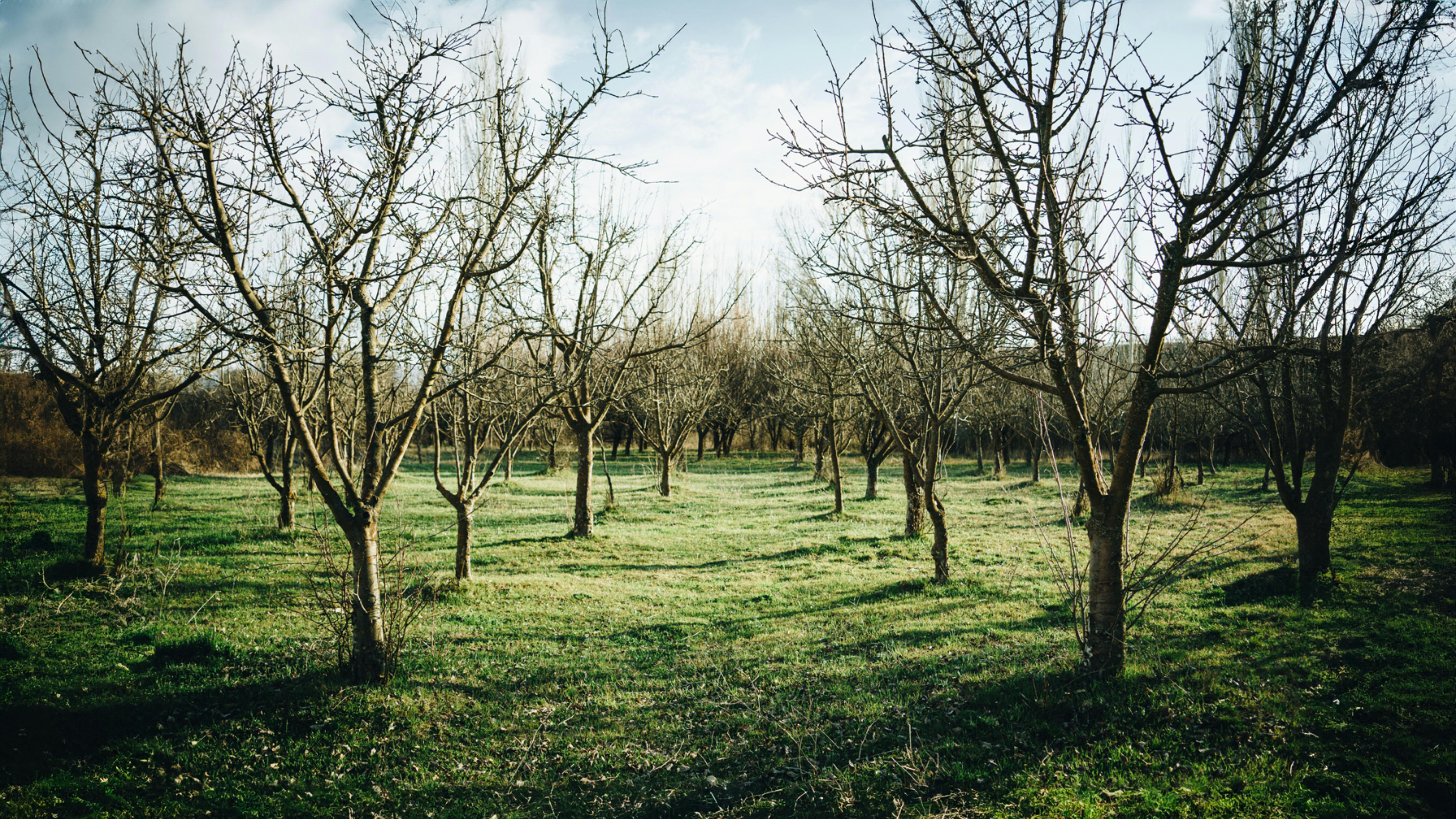 Tacettin Veli Çetin - Photography