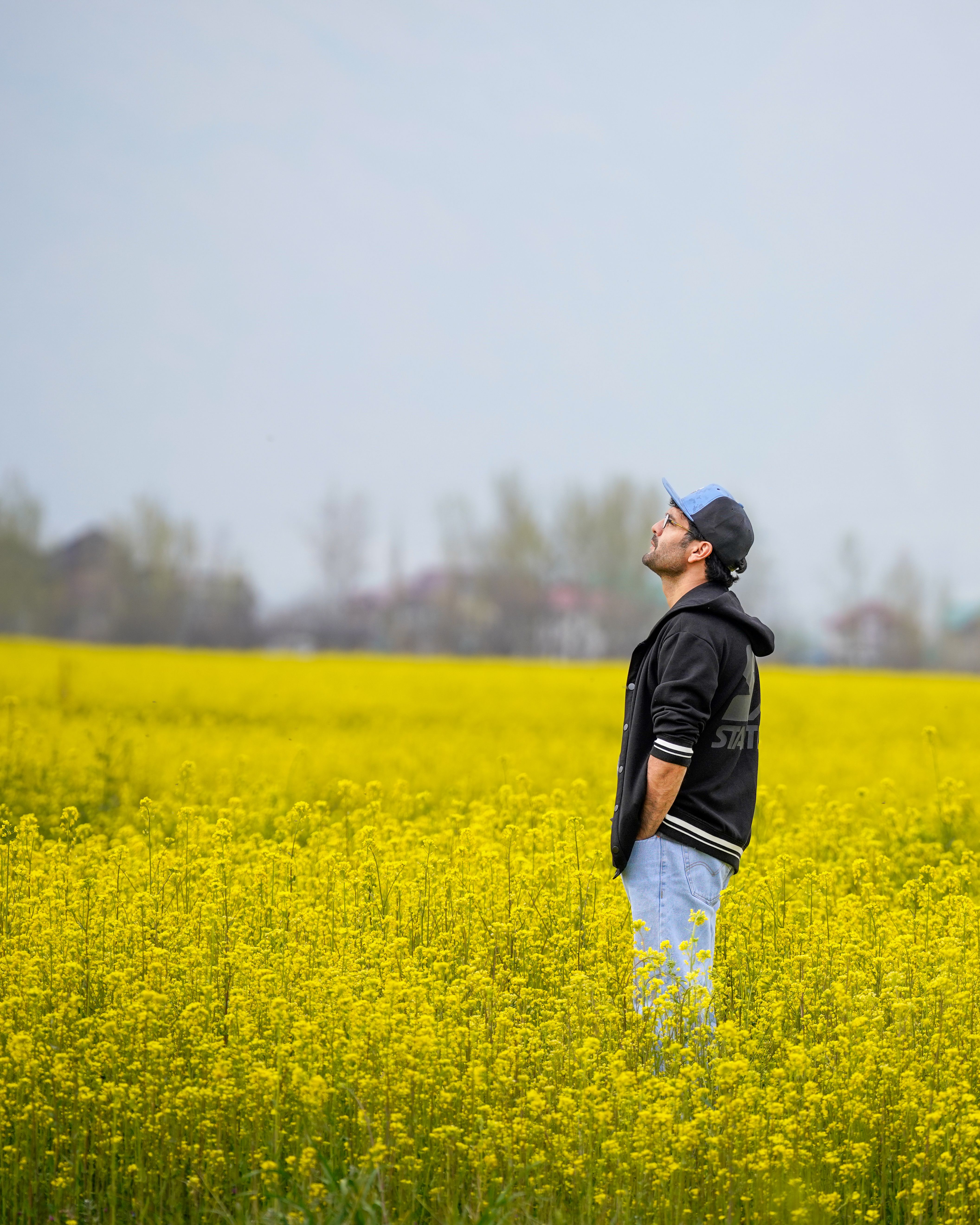 Imad Clicks Photos, Download The BEST Free Imad Clicks Stock Photos ...