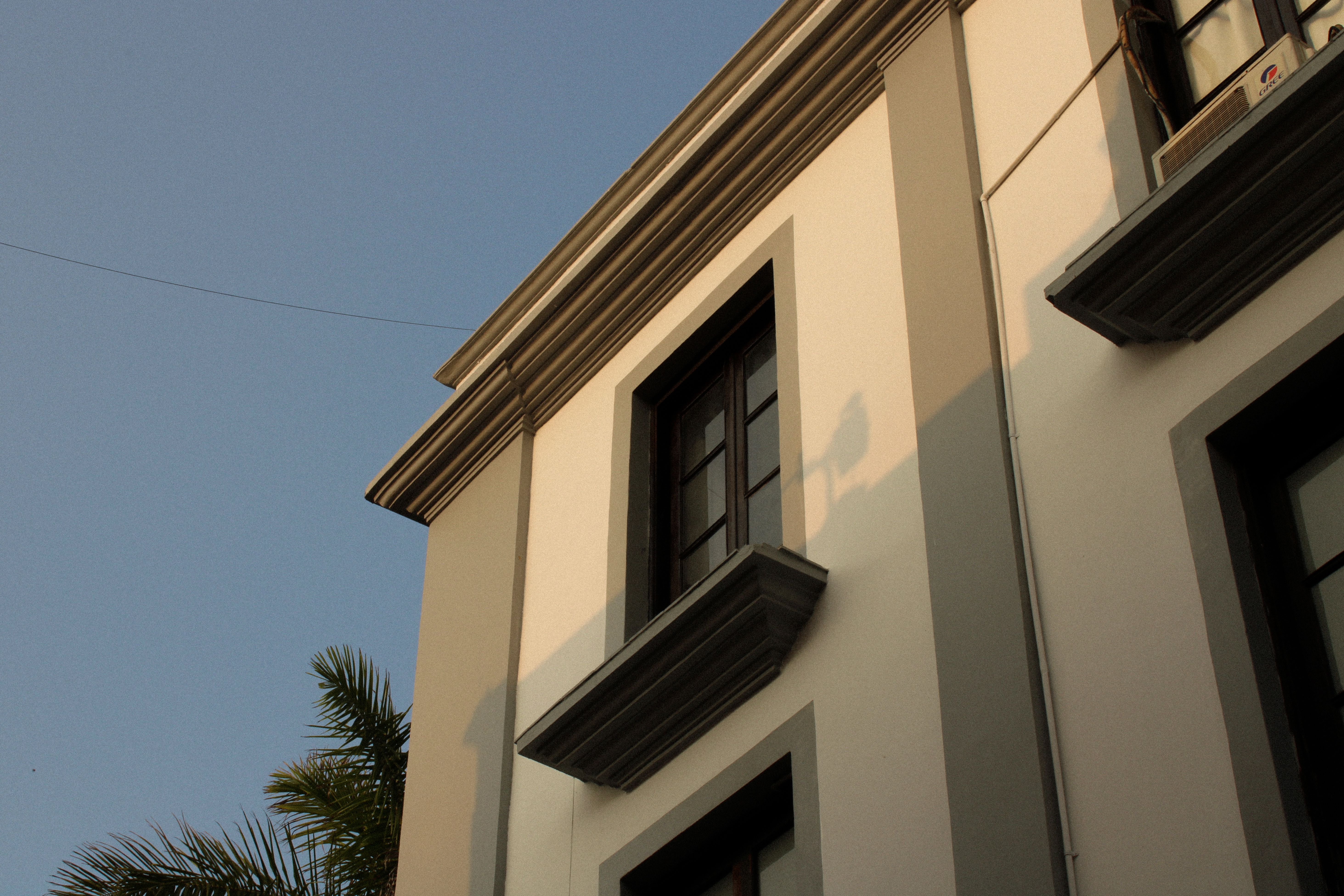 Elegant Building Facade with Palm Leaves · Free Stock Photo