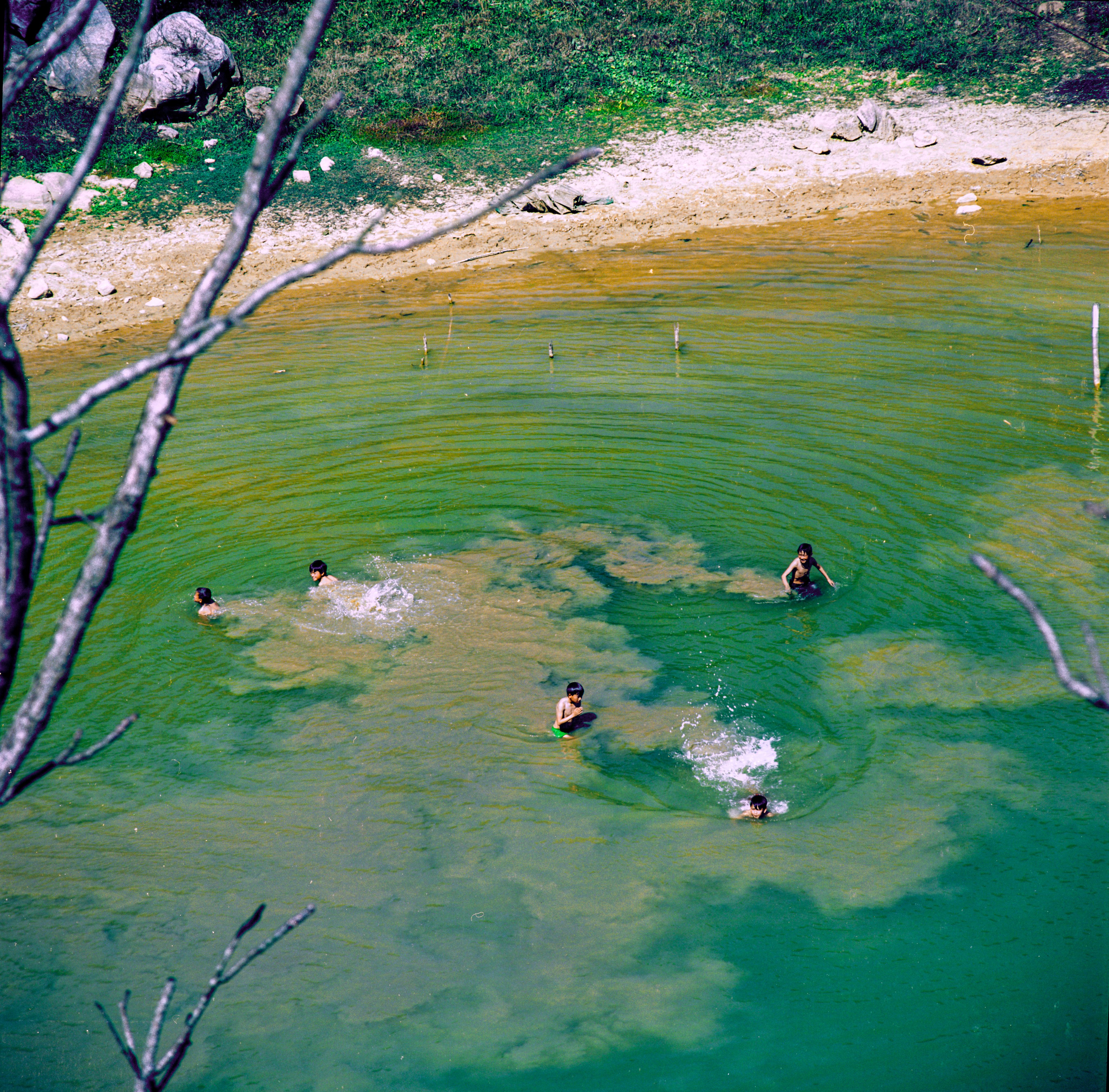 A group of people swimming in a lake · Free Stock Photo