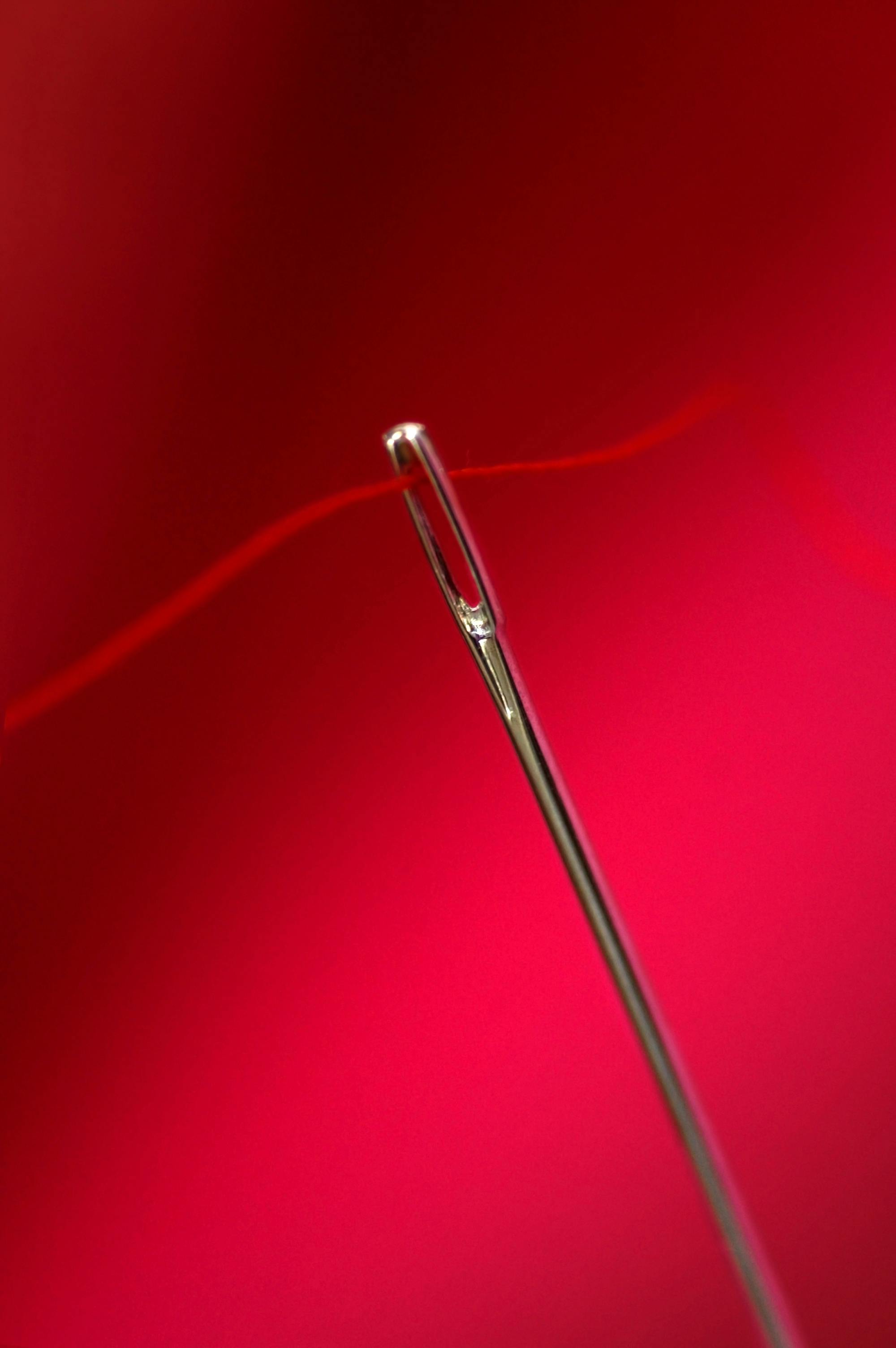 Assorted Coloured Thread · Free Stock Photo