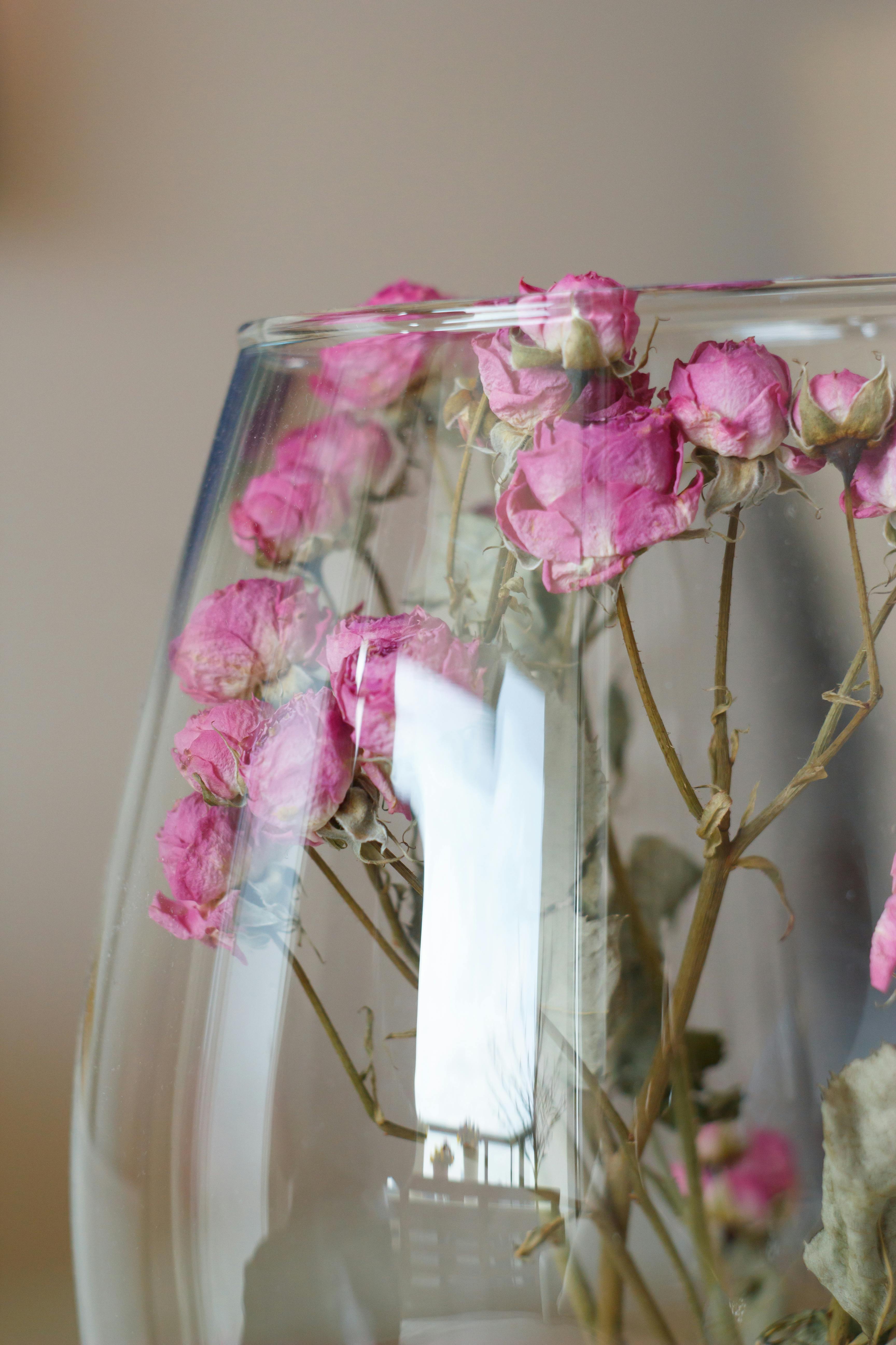 Pink Roses in a Glass Vase · Free Stock Photo