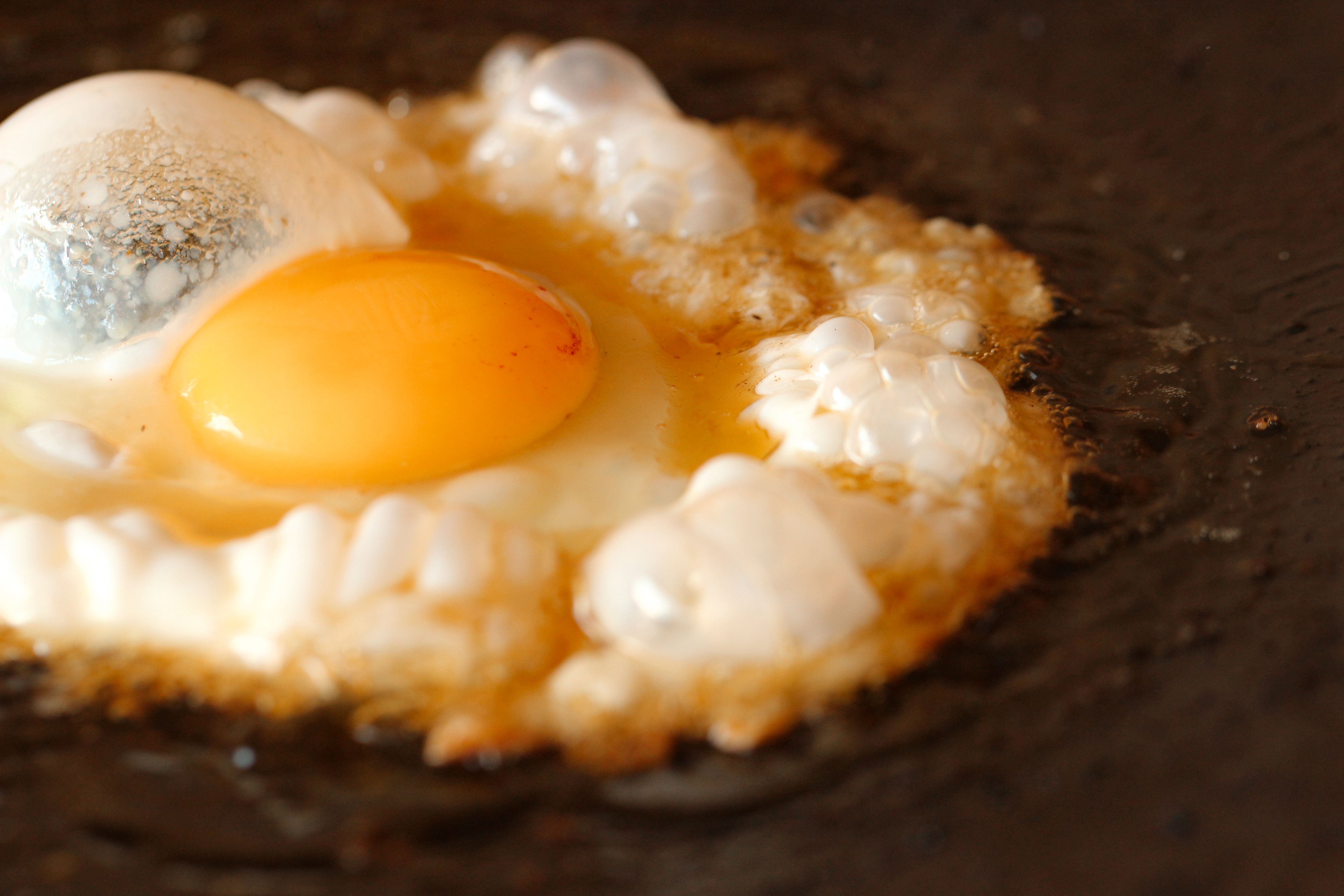 Cooking Egg Yolk and Albumen · Free Stock Photo