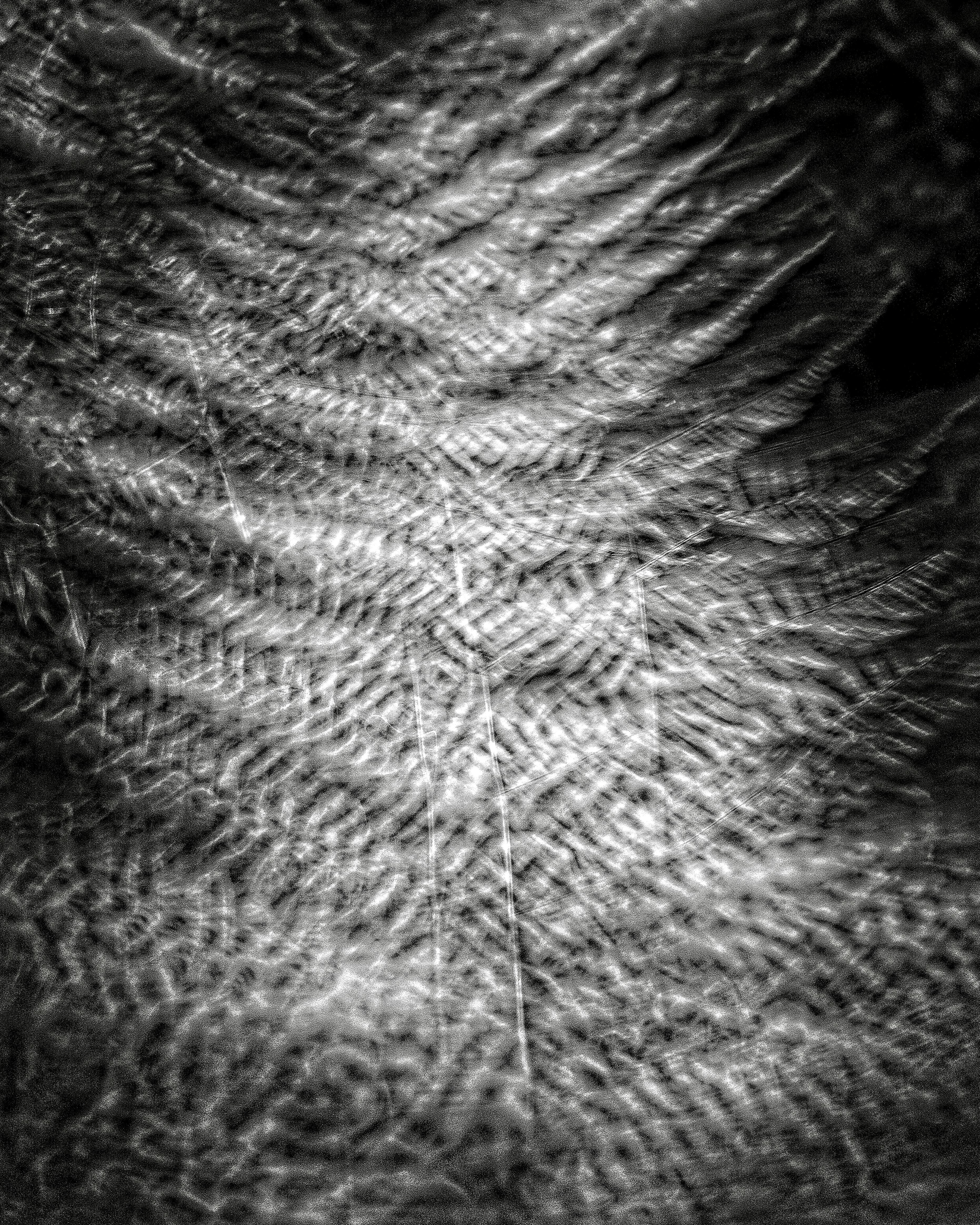 Black And White Nature Photos, Download The BEST Free Black And White ...