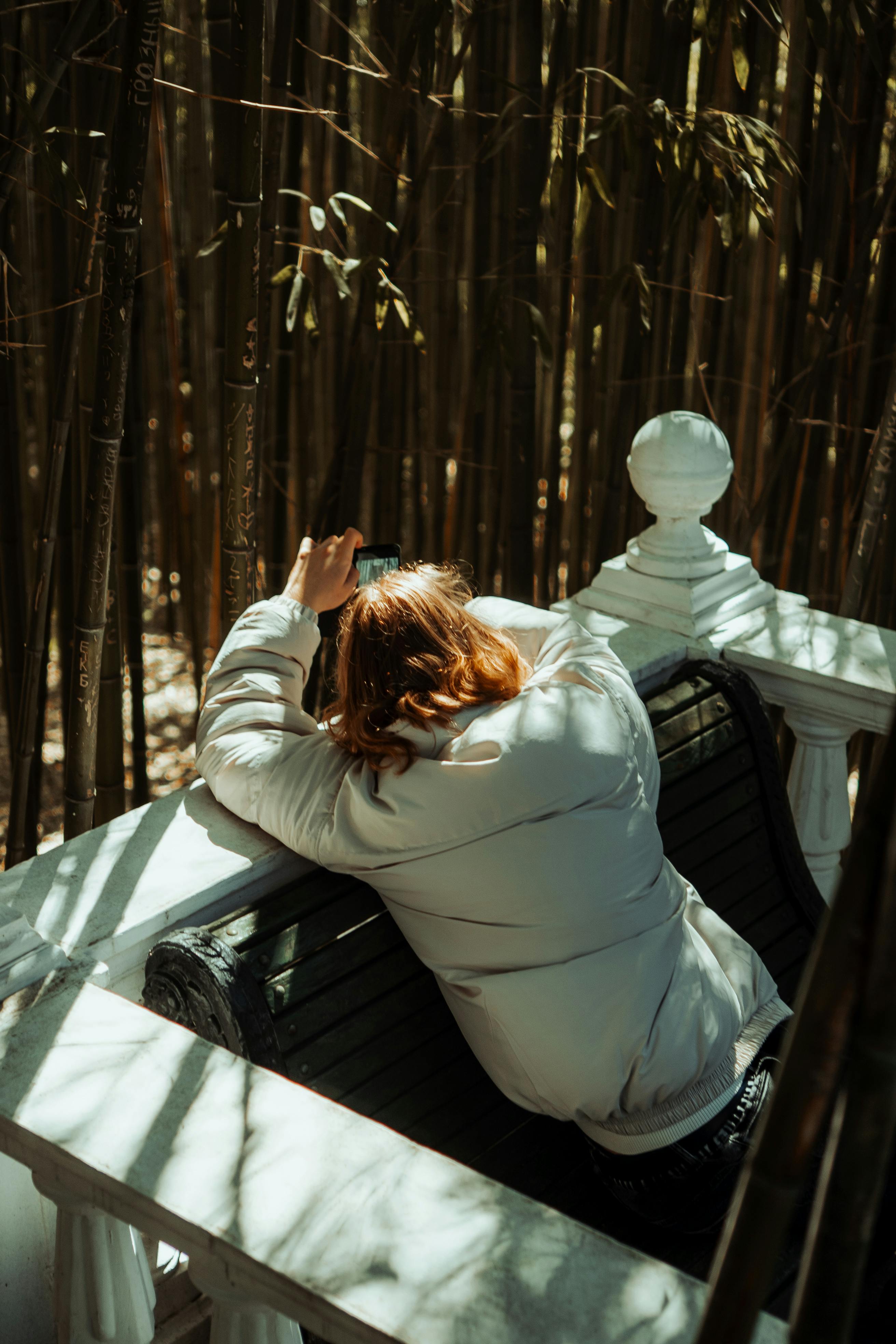 Taking Snapshots Photos, Download The BEST Free Taking Snapshots Stock ...