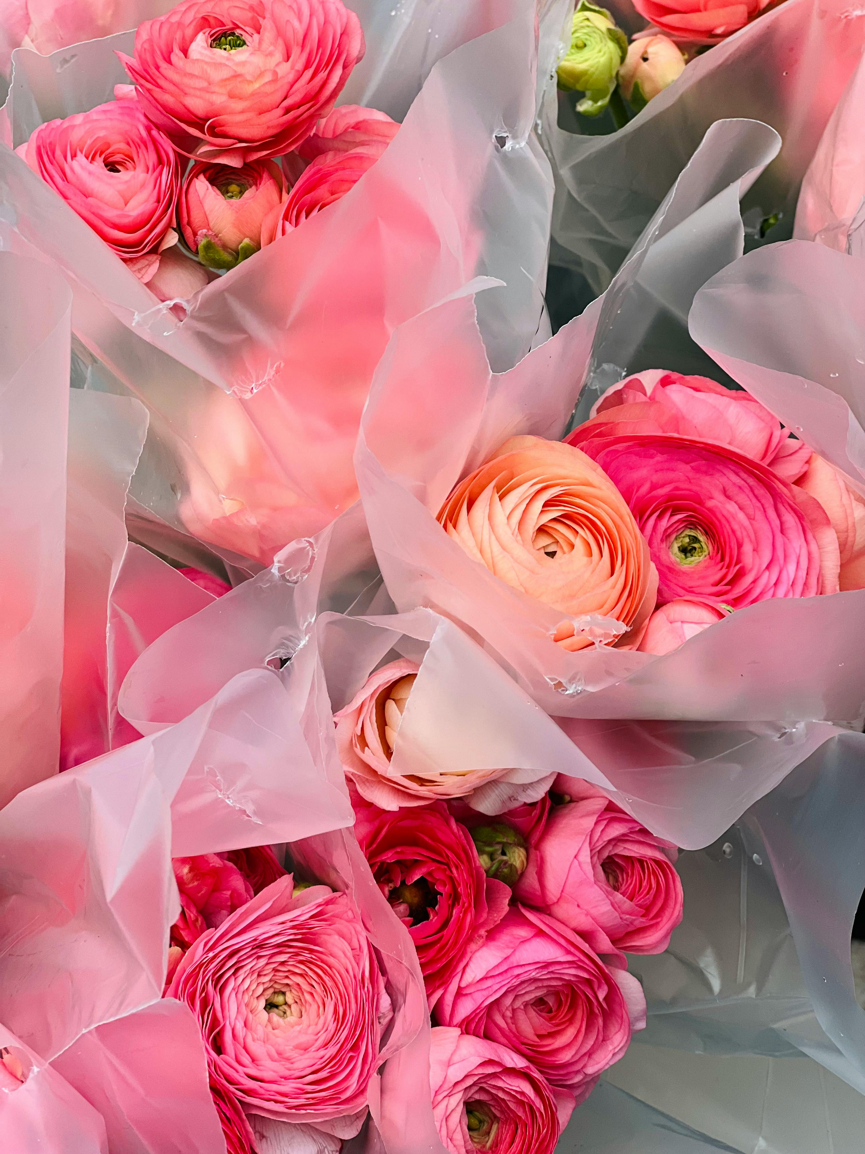Bouquets of Pink Flowers · Free Stock Photo