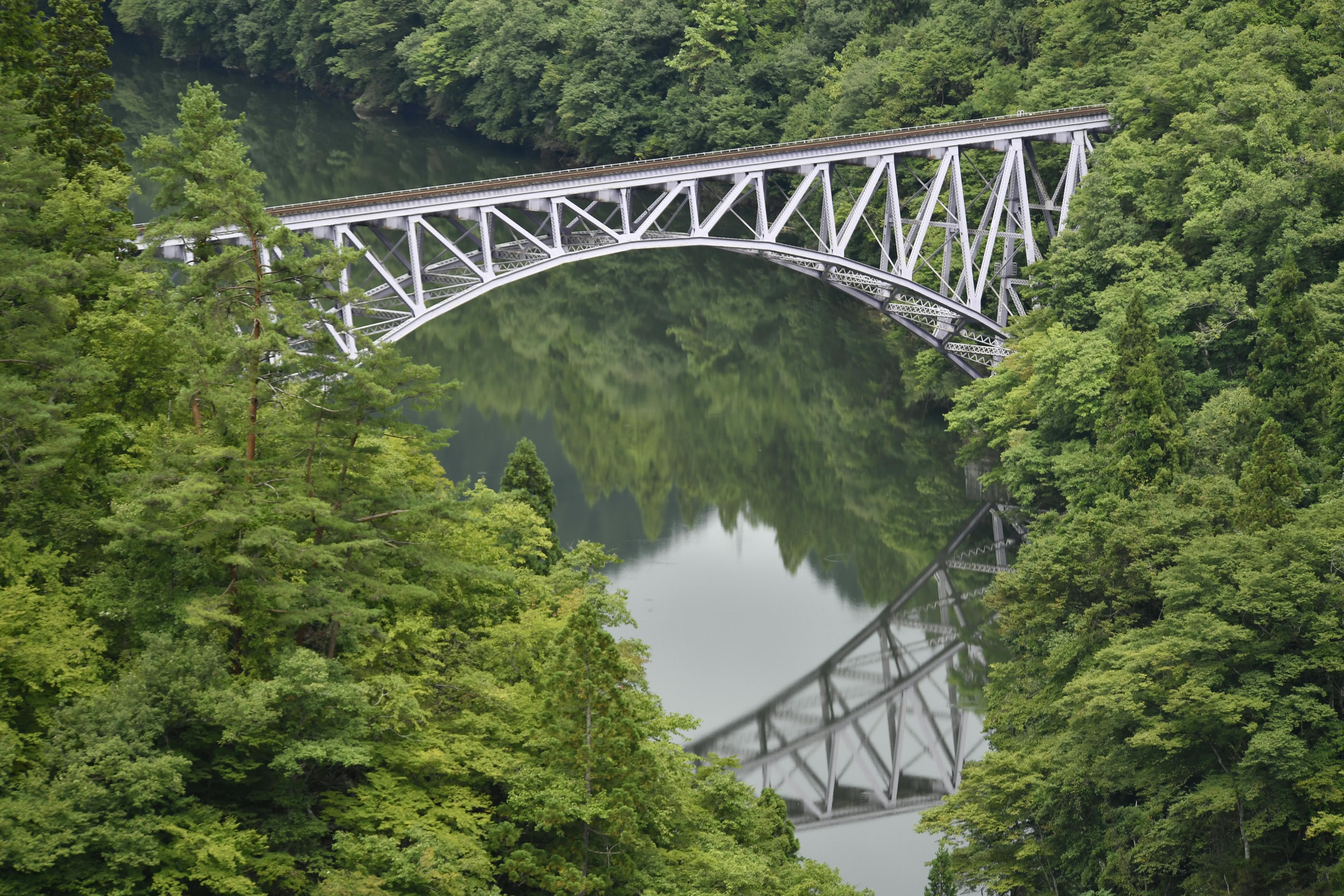 Mishima Photos, Download The BEST Free Mishima Stock Photos & HD Images