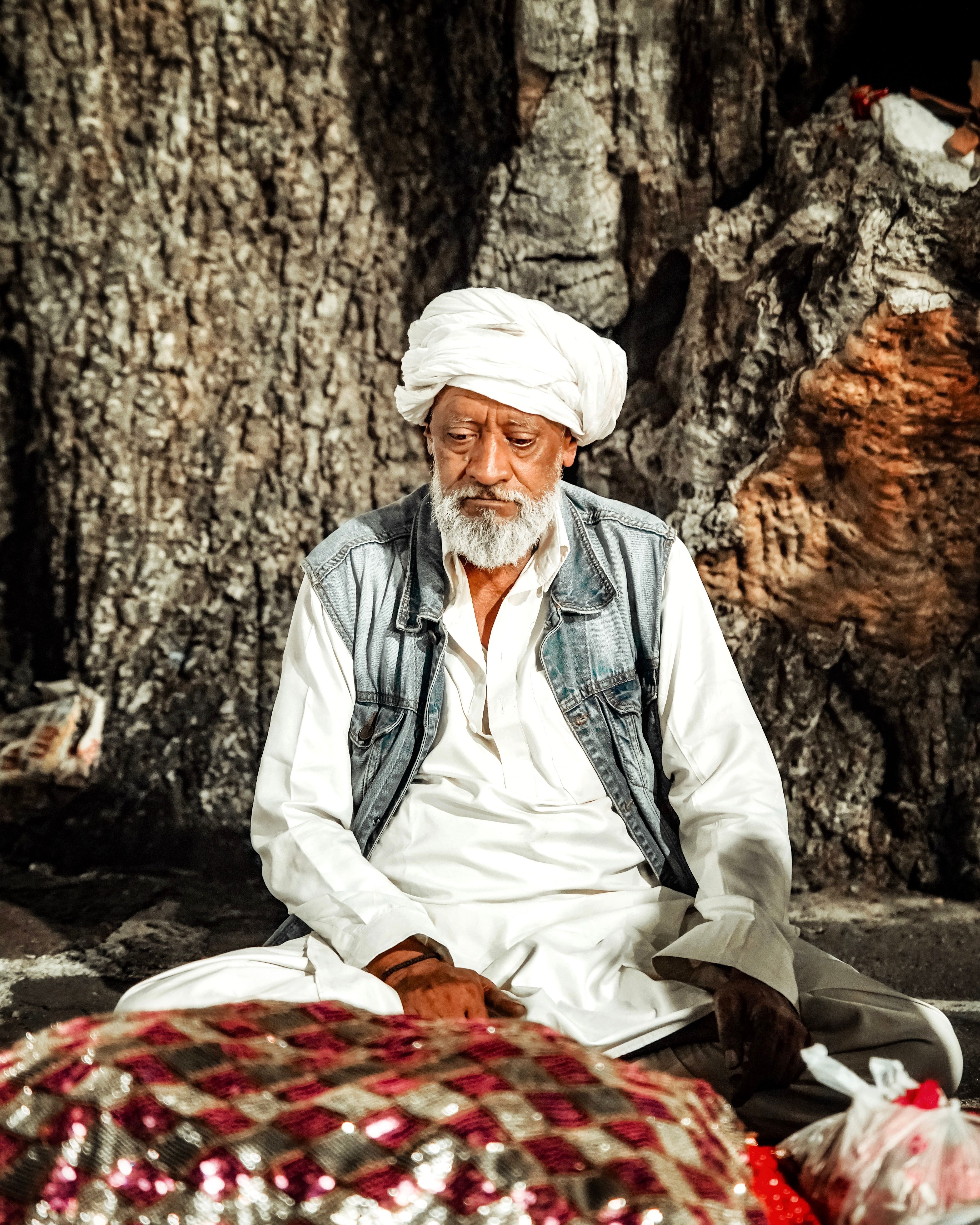 Olden Tree Photos, Download The BEST Free Olden Tree Stock Photos & HD ...