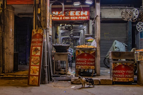 4k Meme Cat Wallpaper Photos, Download The BEST Free 4k Meme Cat ...