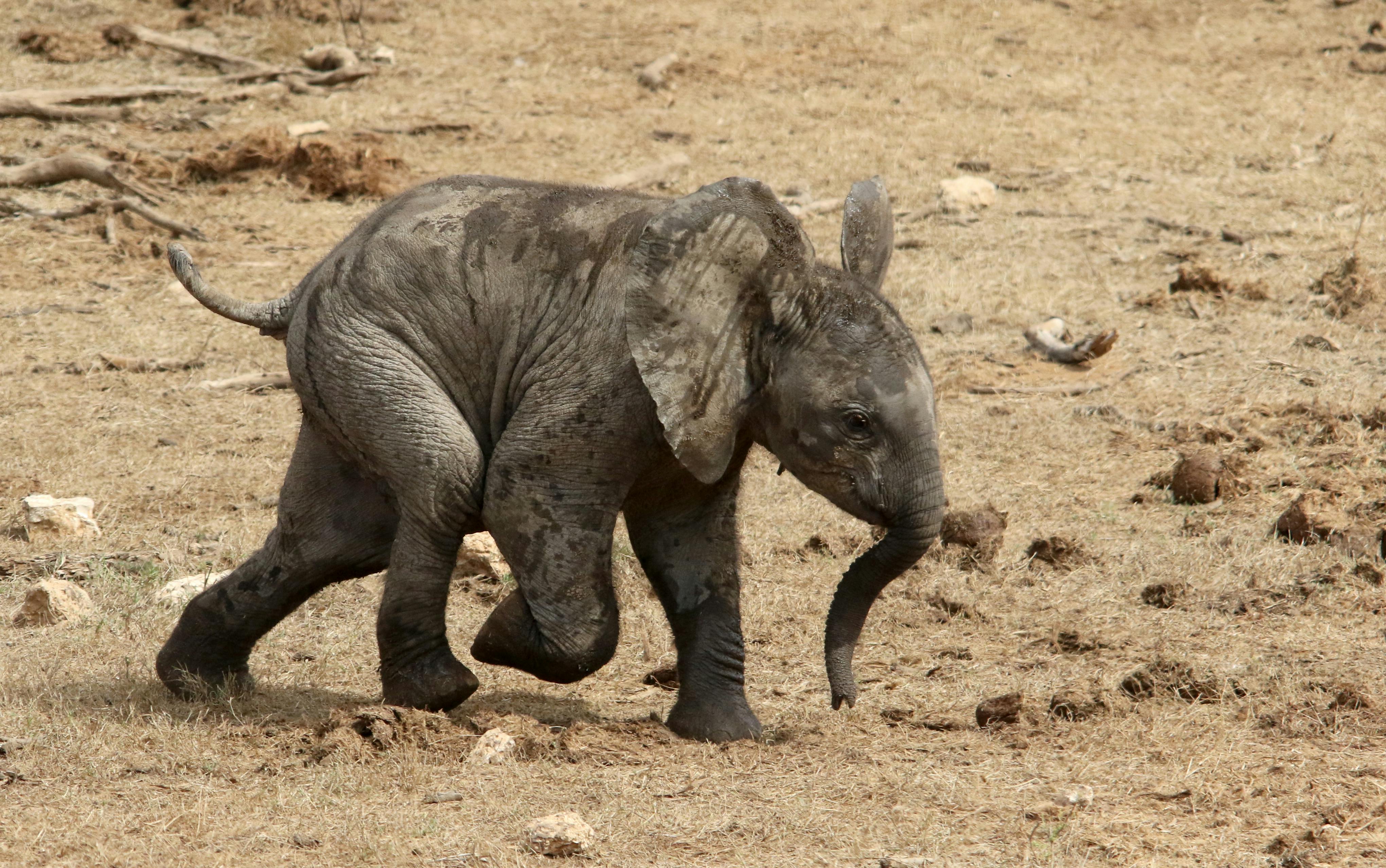 วิธีการติดตั้งกล้อง Addo Photos, Download The BEST Free วิธีการติดตั้ง ...