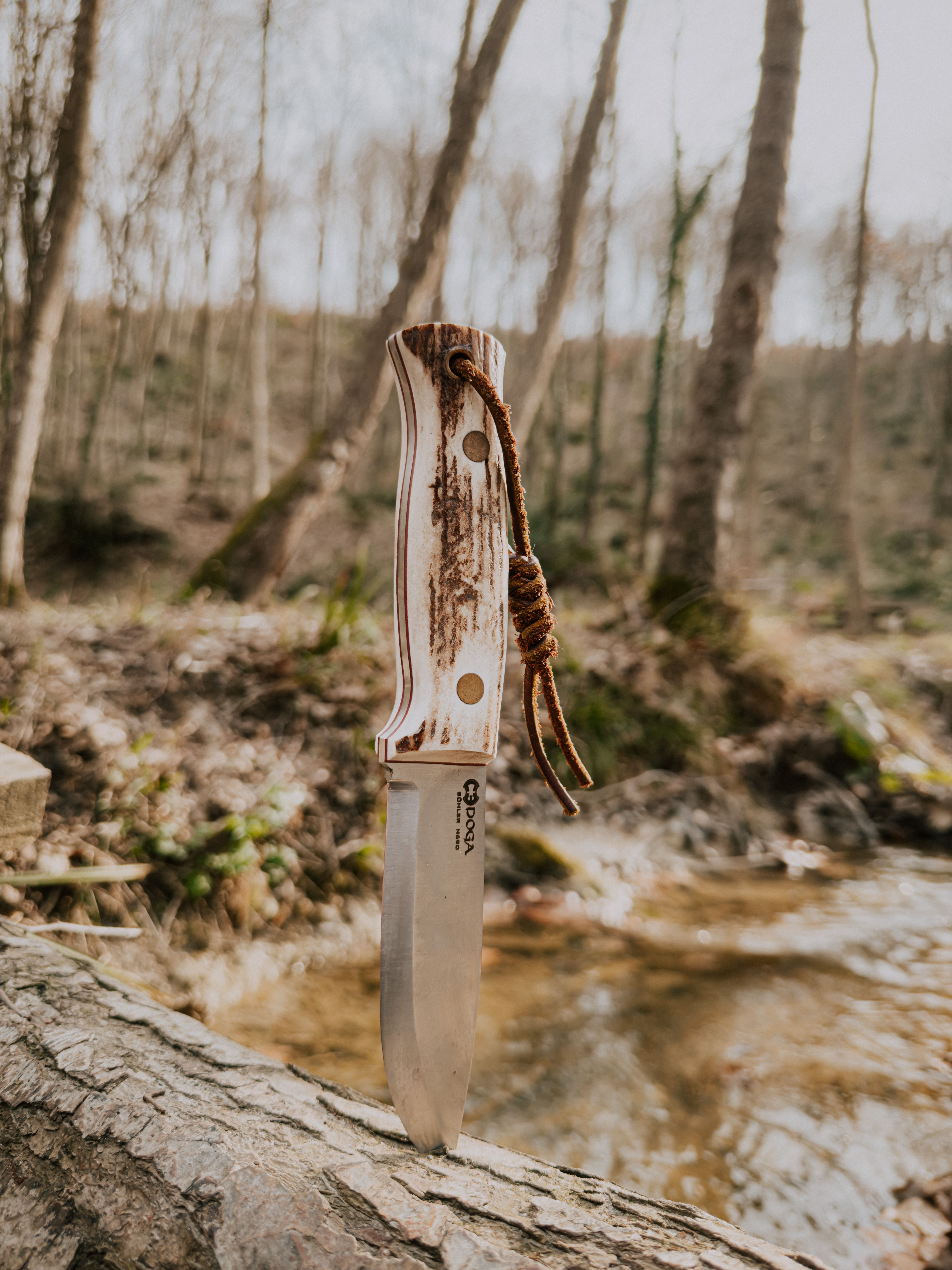 Muddy River in a Forest, and a Knife Stuck in a Log · Free Stock Photo