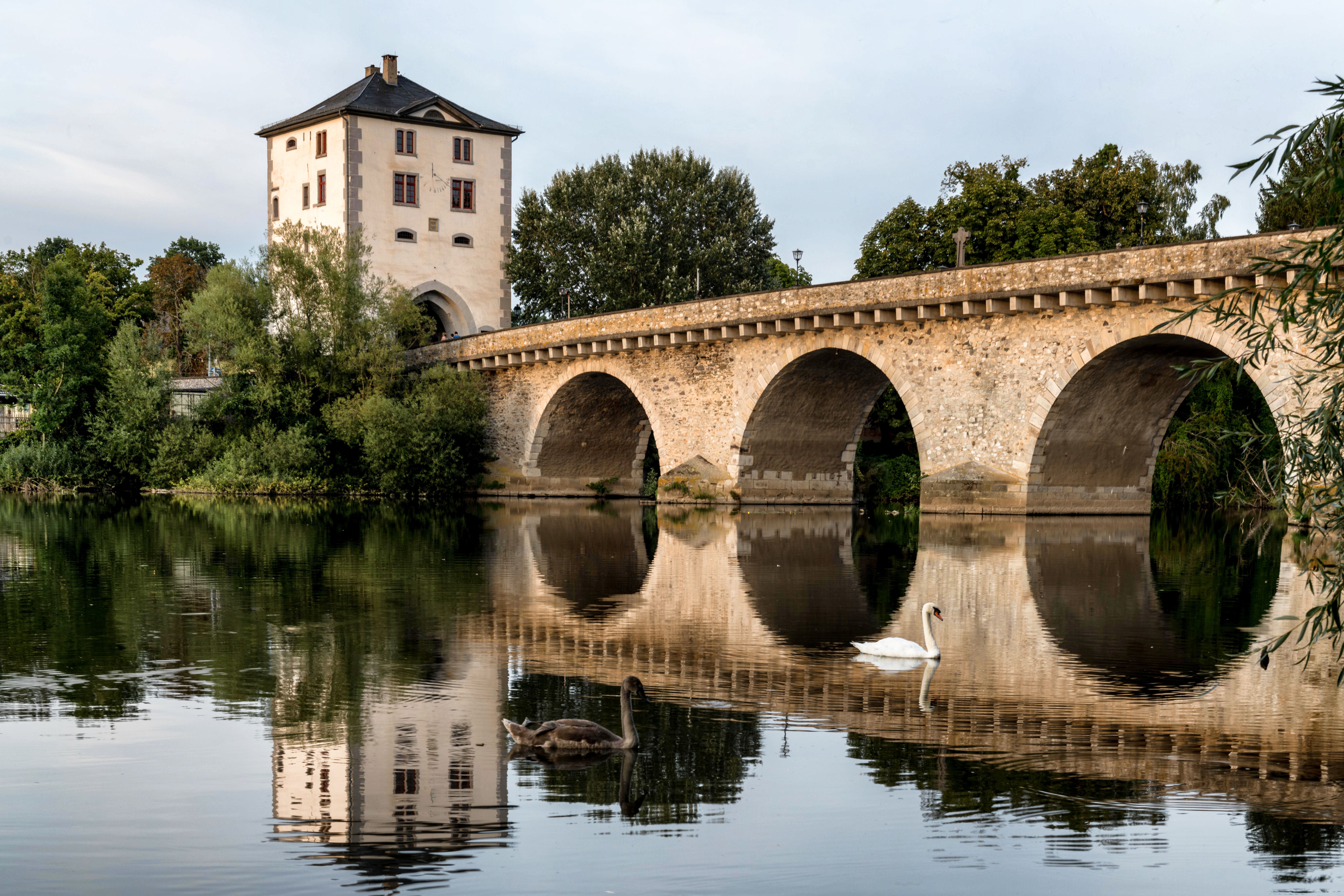 Stone Bridge by the River in Germany · Free Stock Photo