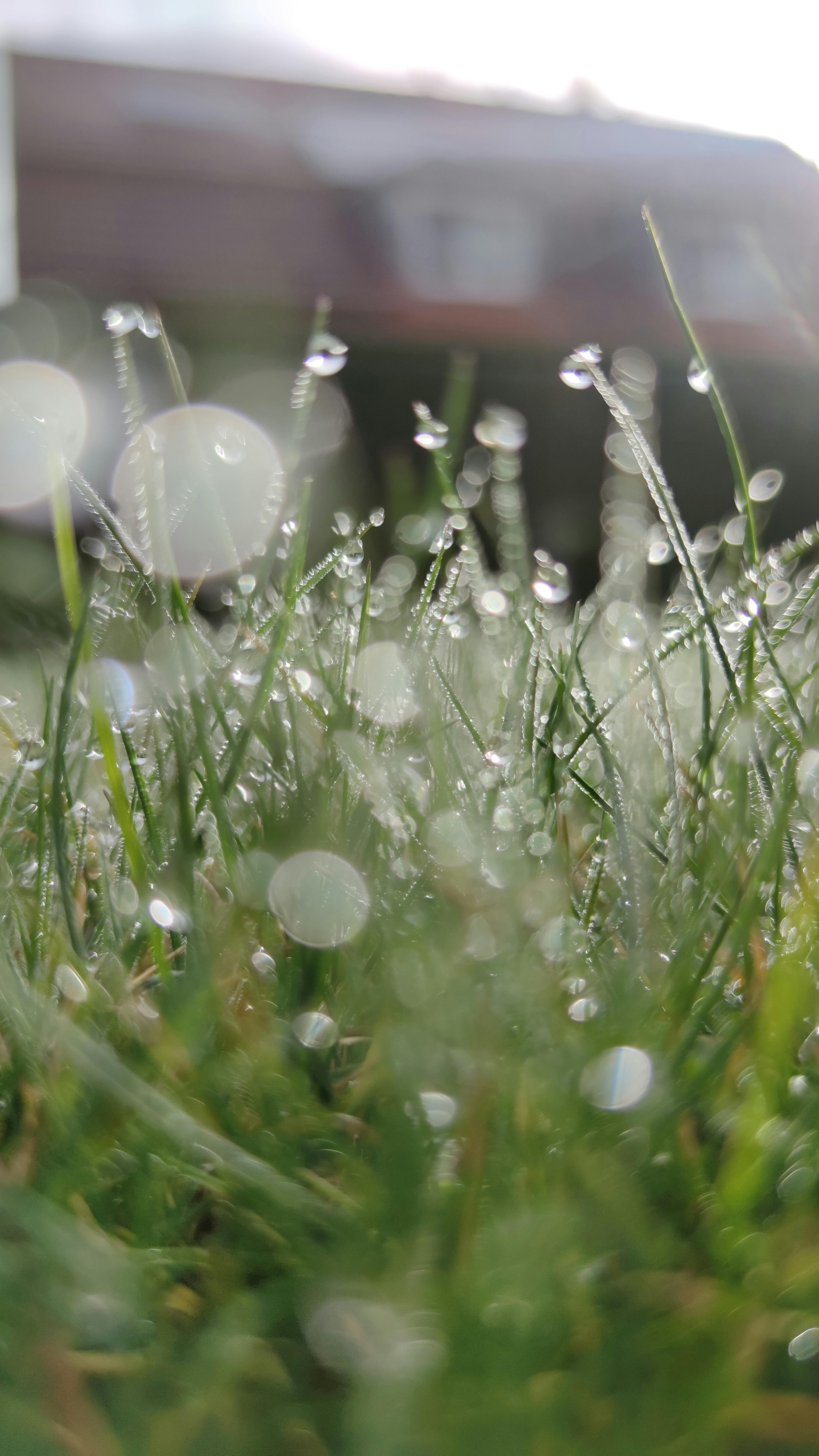 Yelena Wegel - 사진