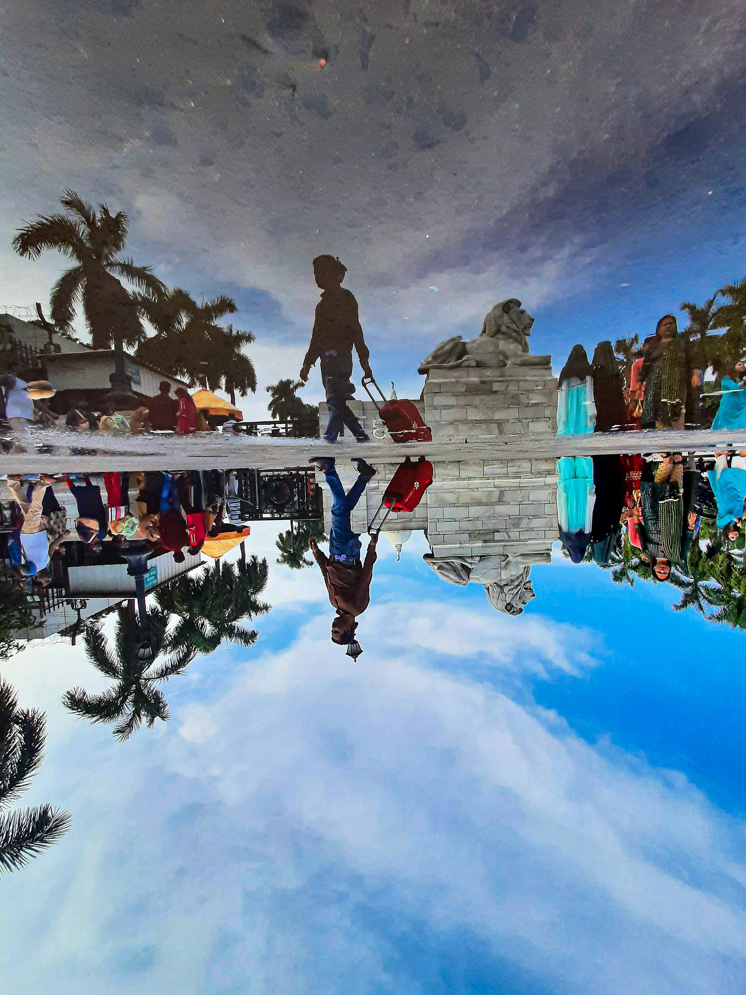 Upside Down Photo of a Reflection of a Street in a Puddle · Free Stock ...