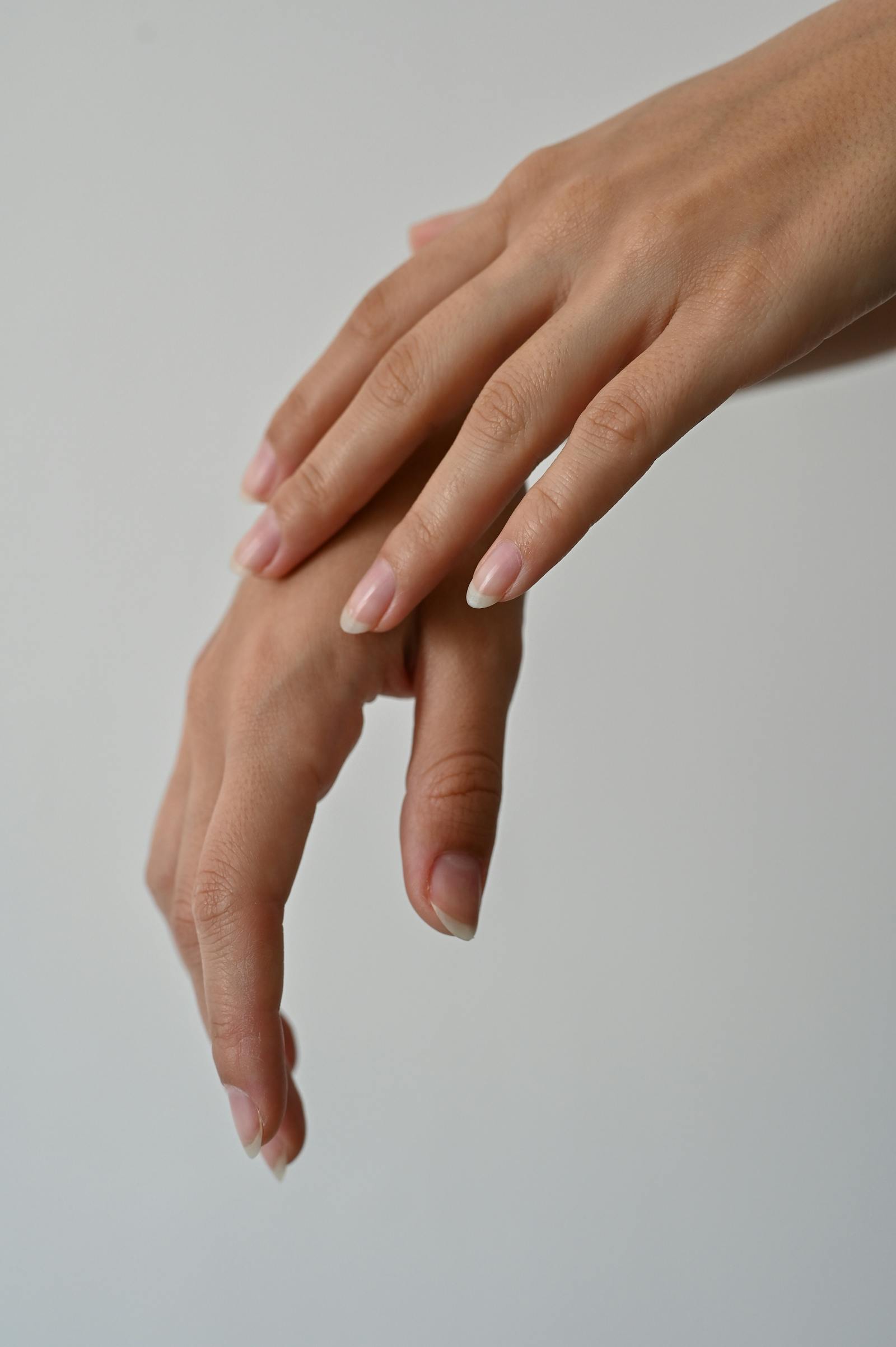 Reference Poses Women Photos, Download The BEST Free Reference Poses ...