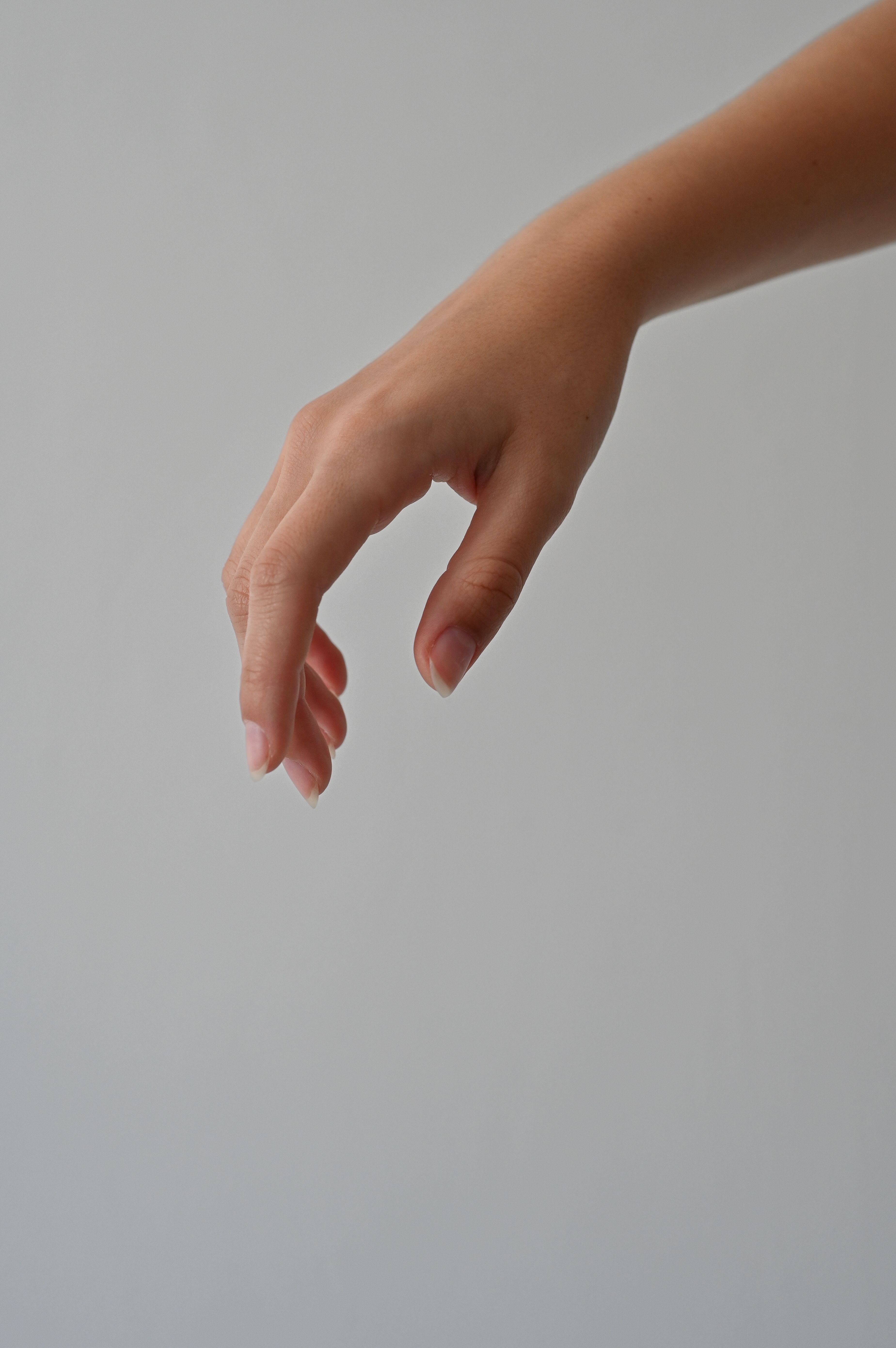 Close-up of Hand over White Background · Free Stock Photo