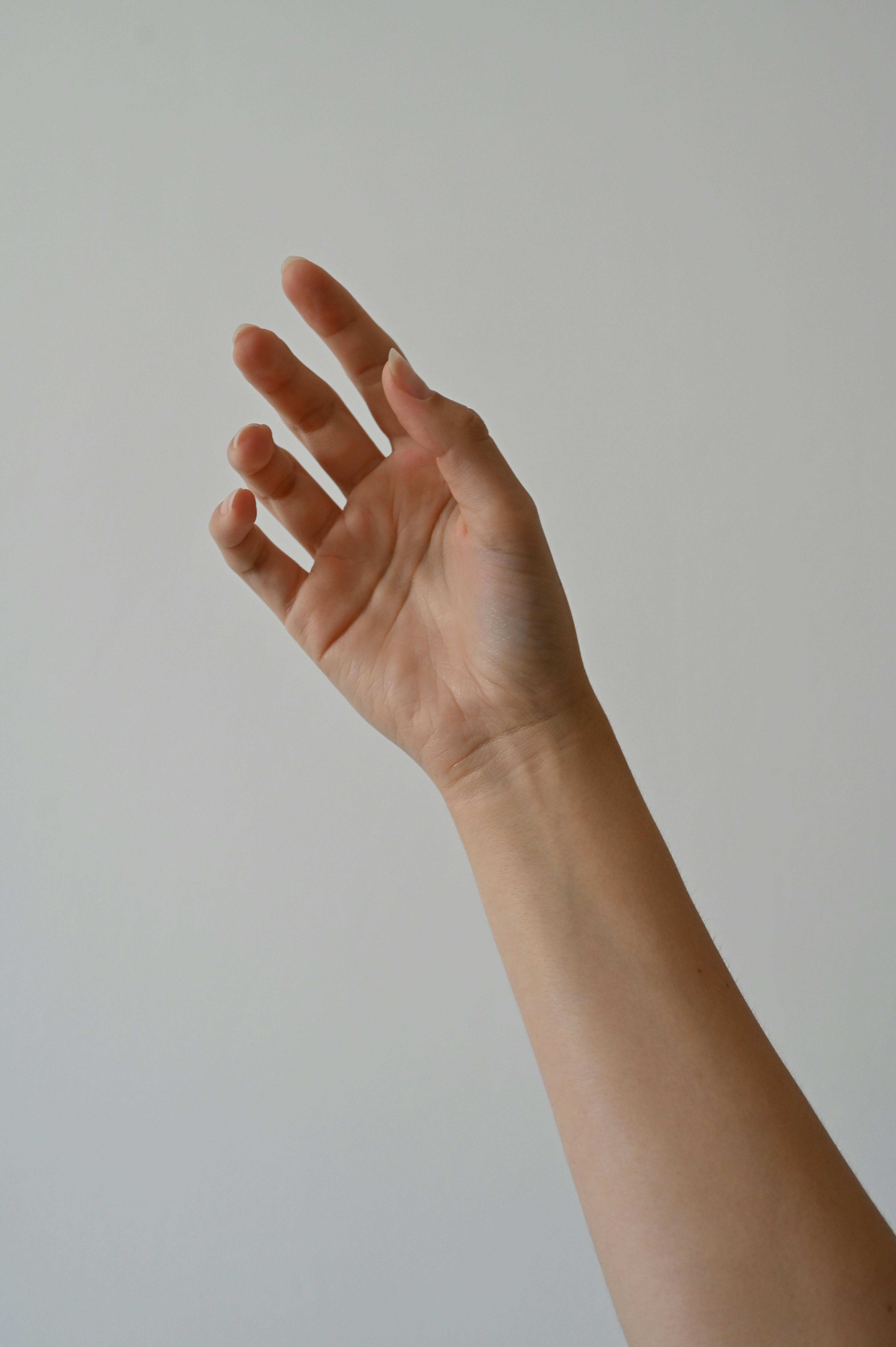 Hand Reference Photos, Download The BEST Free Hand Reference Stock ...