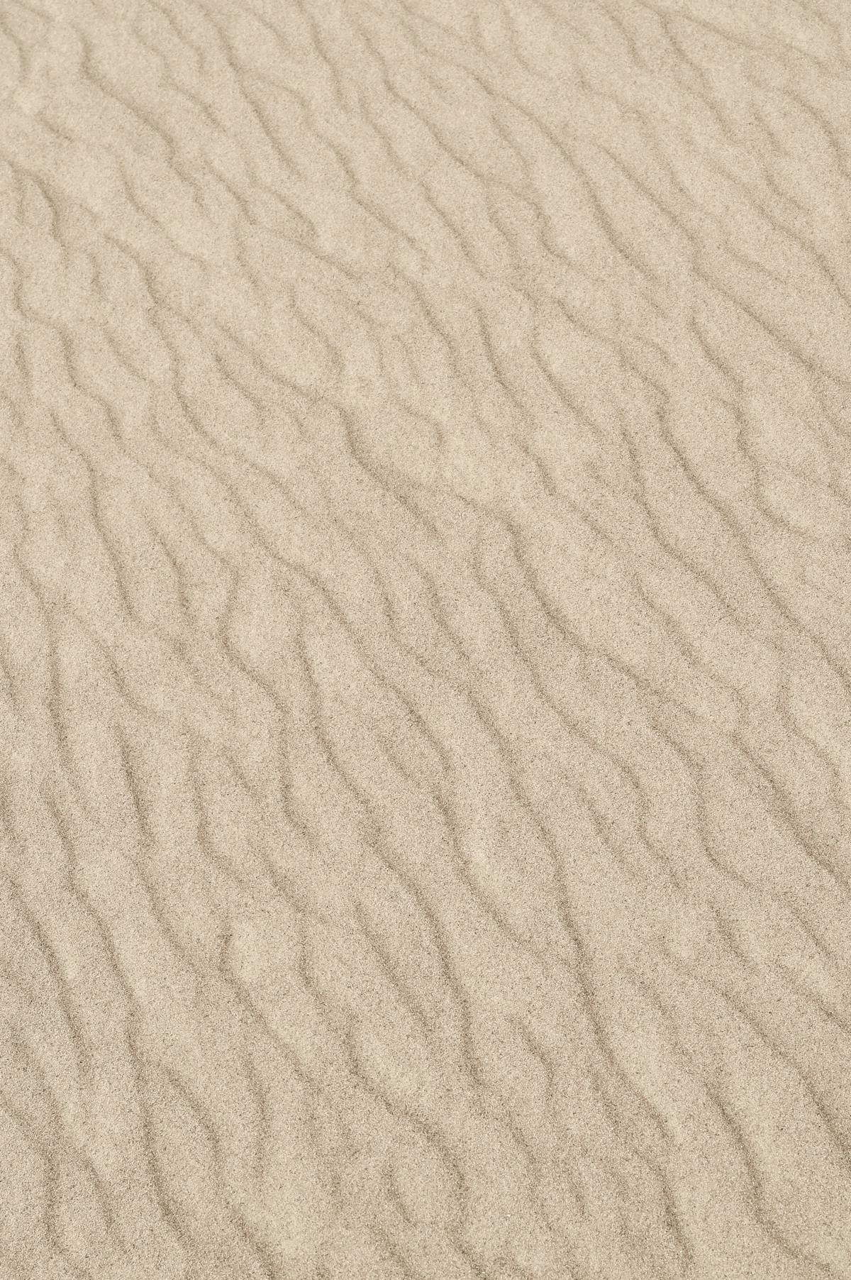 Sand Plaster Texture Photos, Download The BEST Free Sand Plaster ...