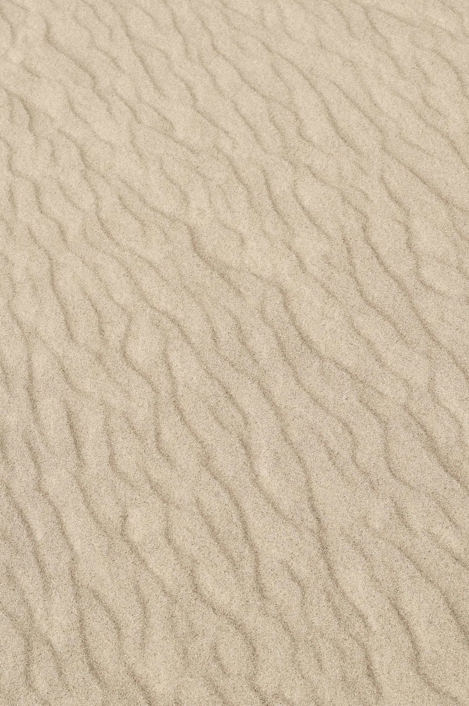 Sand Plaster Texture Photos, Download The BEST Free Sand Plaster ...