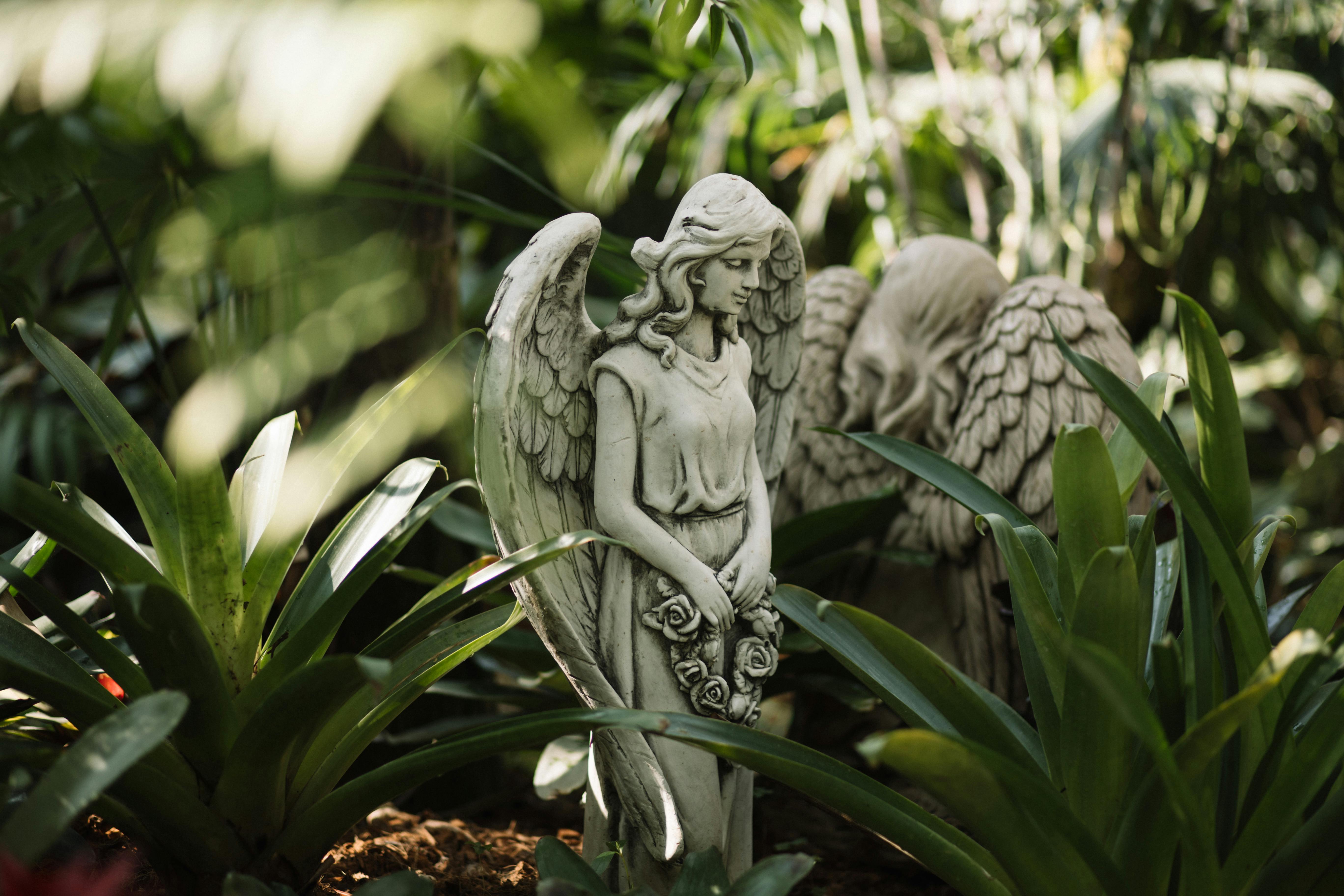 Angel Statue In the Grass · Free Stock Photo