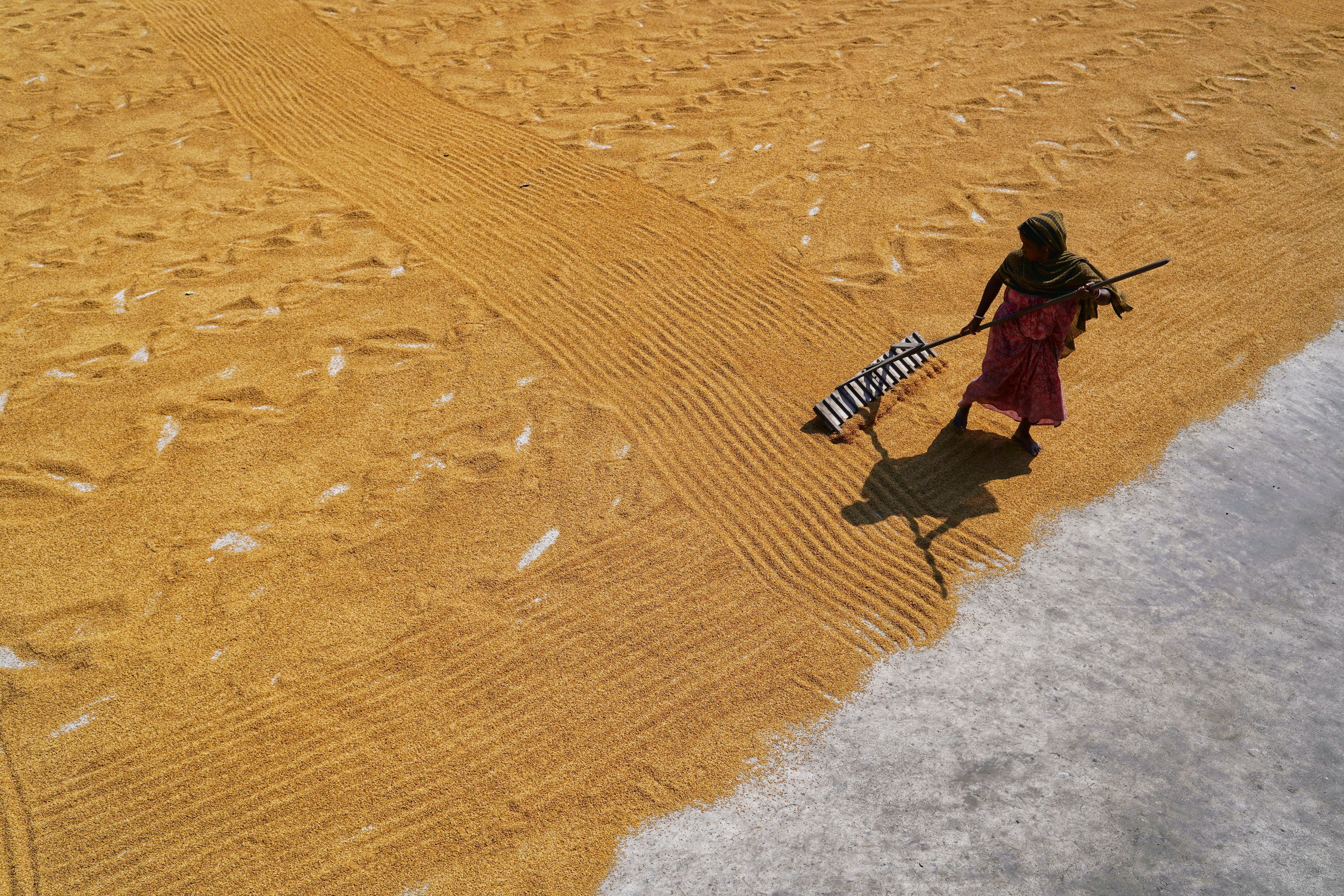Woman Working on Field · Free Stock Photo