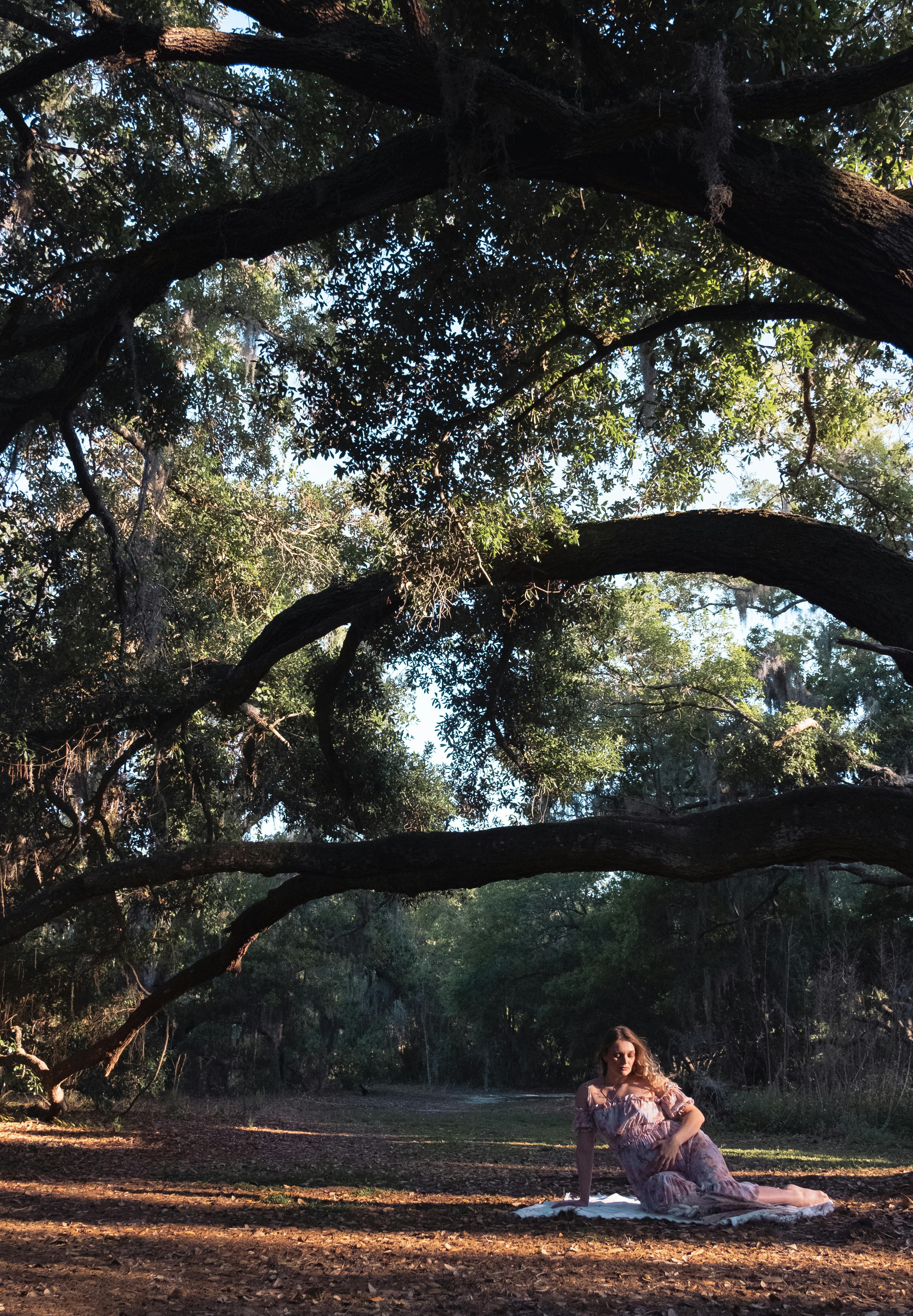 Woman in Dress Sitting under Trees in Forest · Free Stock Photo