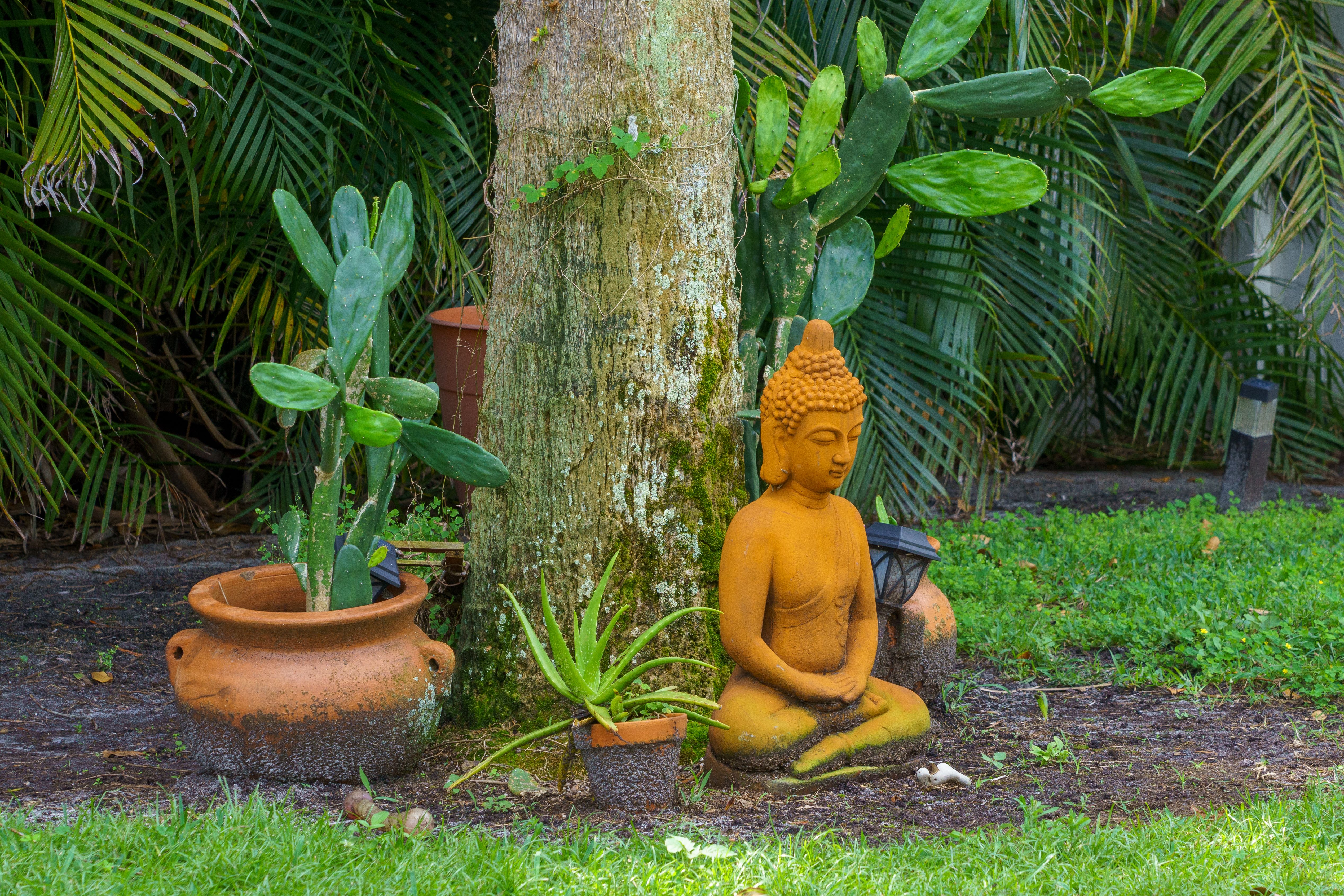 Plants and Buddha Figurine around Tree · Free Stock Photo