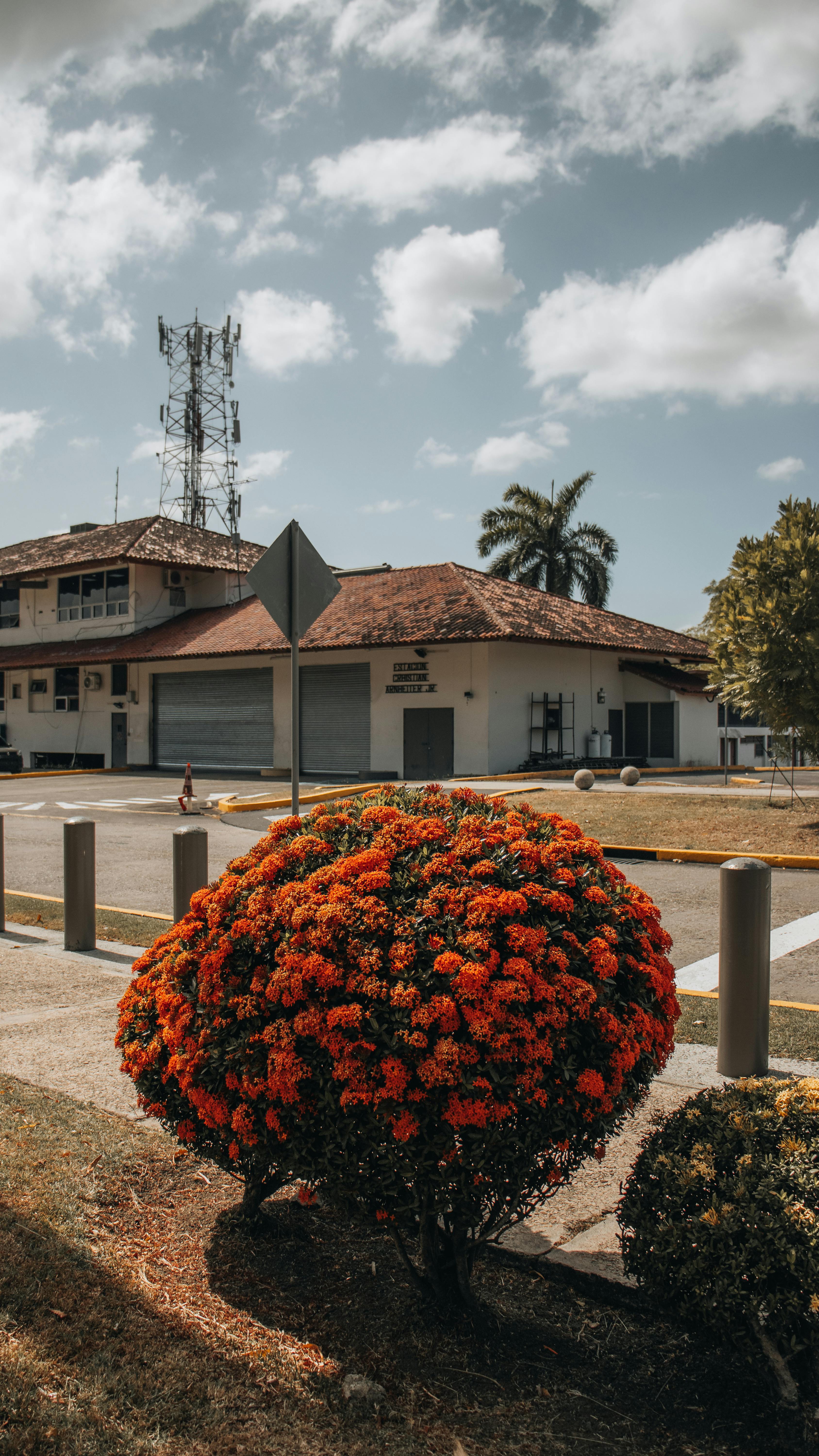 City of Knowledge Street · Free Stock Photo