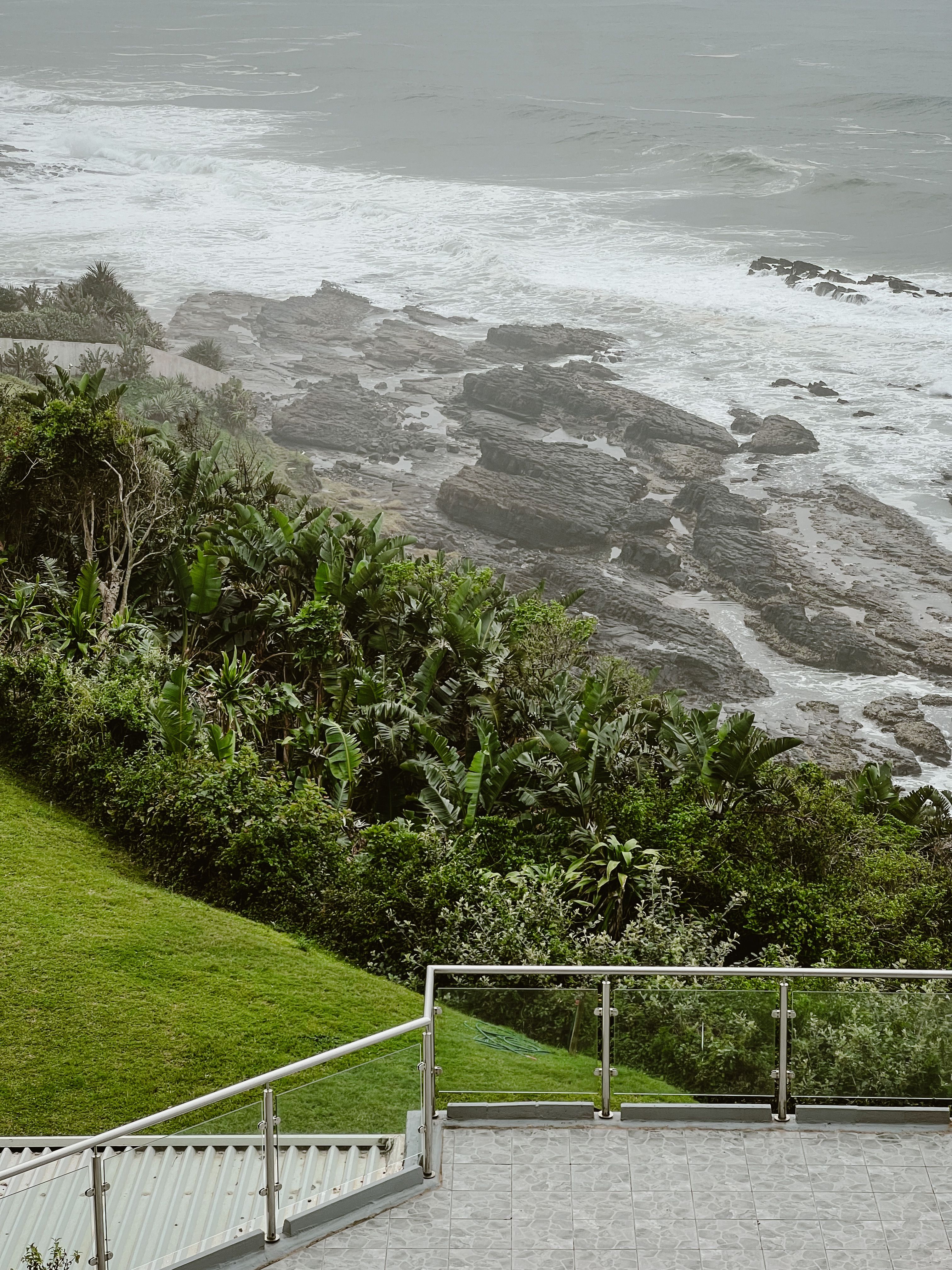 View of Tropical Plants on the Shore and Waves Breaking on the Rocks ...