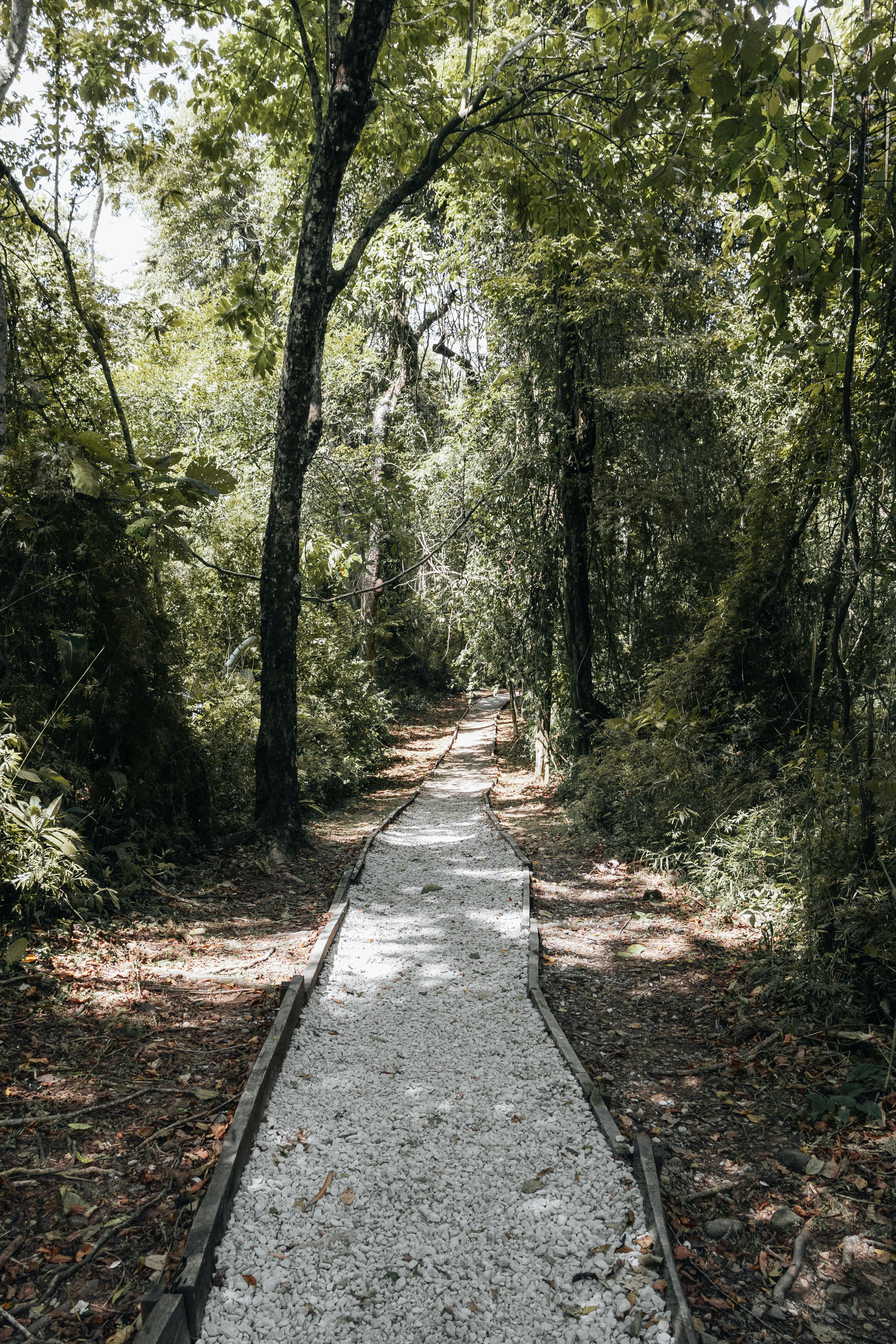 Stone path in the Metropolitan Park in Panama · Free Stock Photo