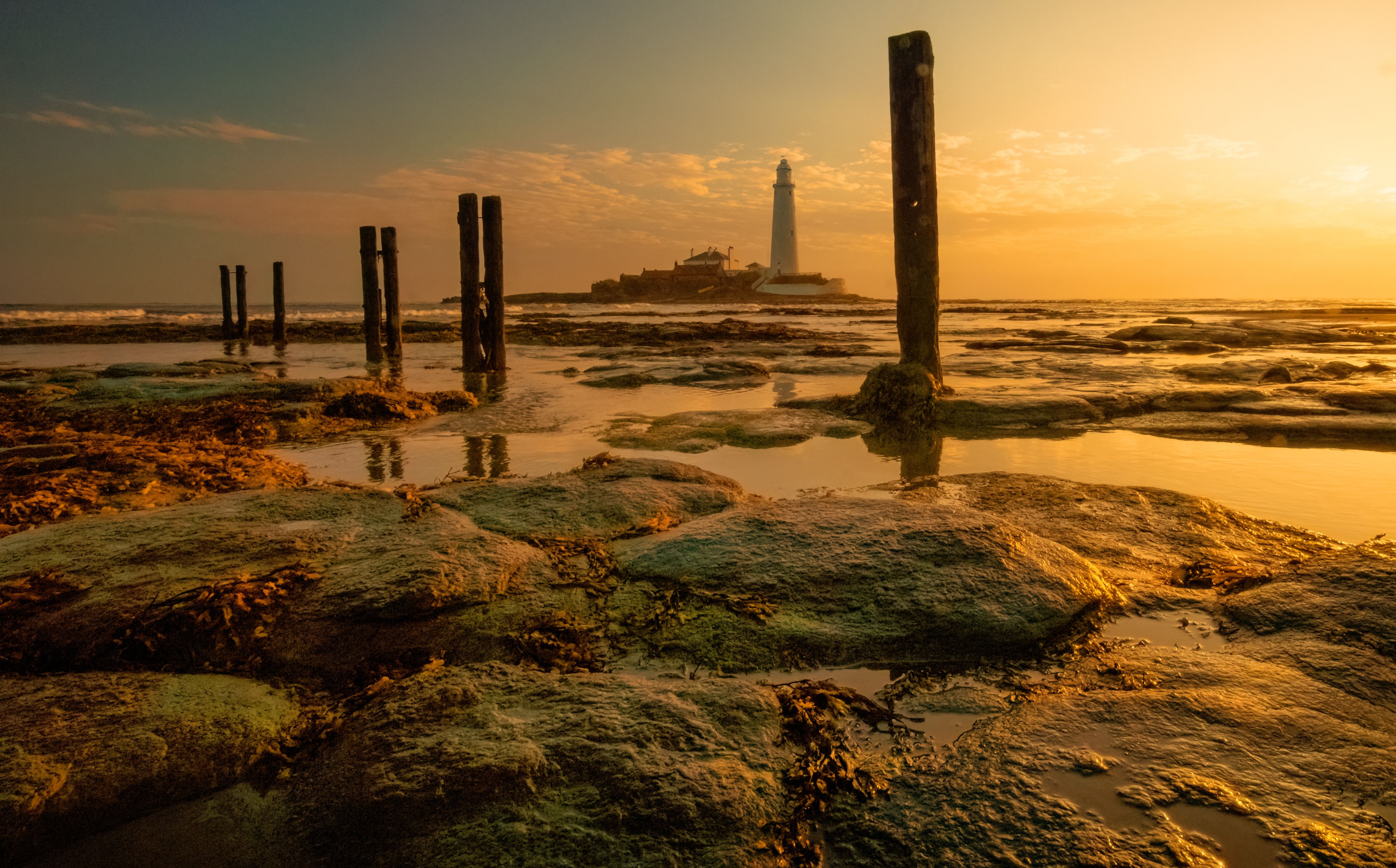 Foto de stock gratuita sobre anochecer, costa, faro, faro de st marys ...