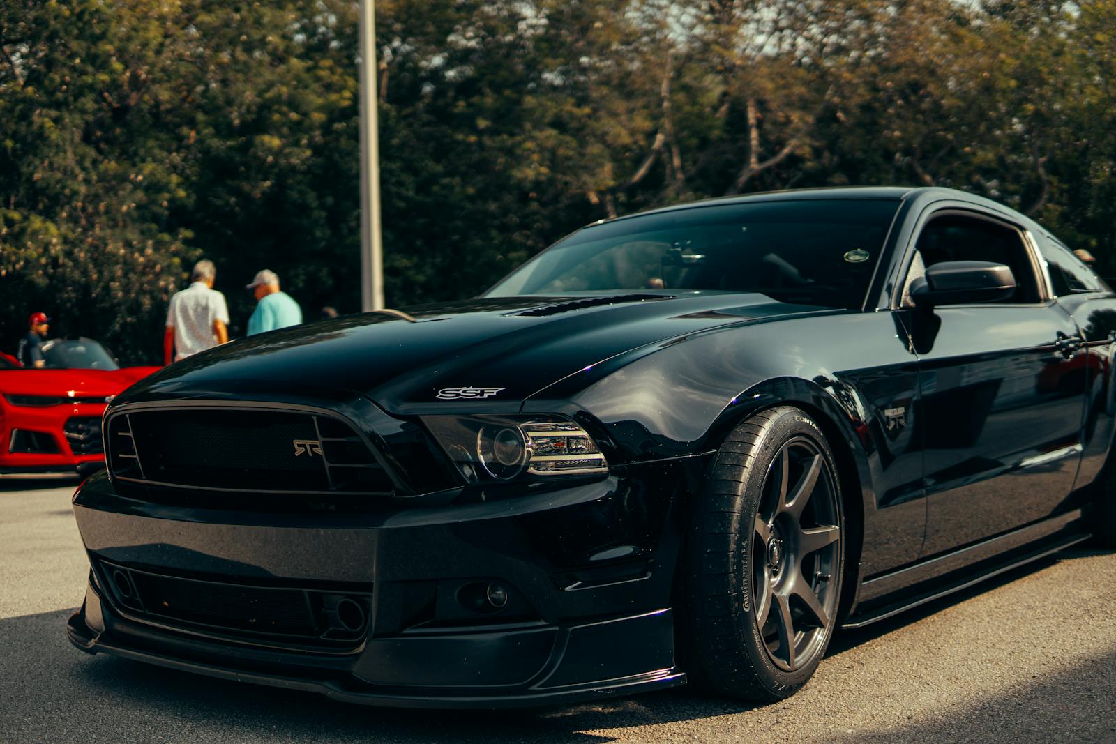 Black Mustang Photos, Download The BEST Free Black Mustang Stock Photos ...